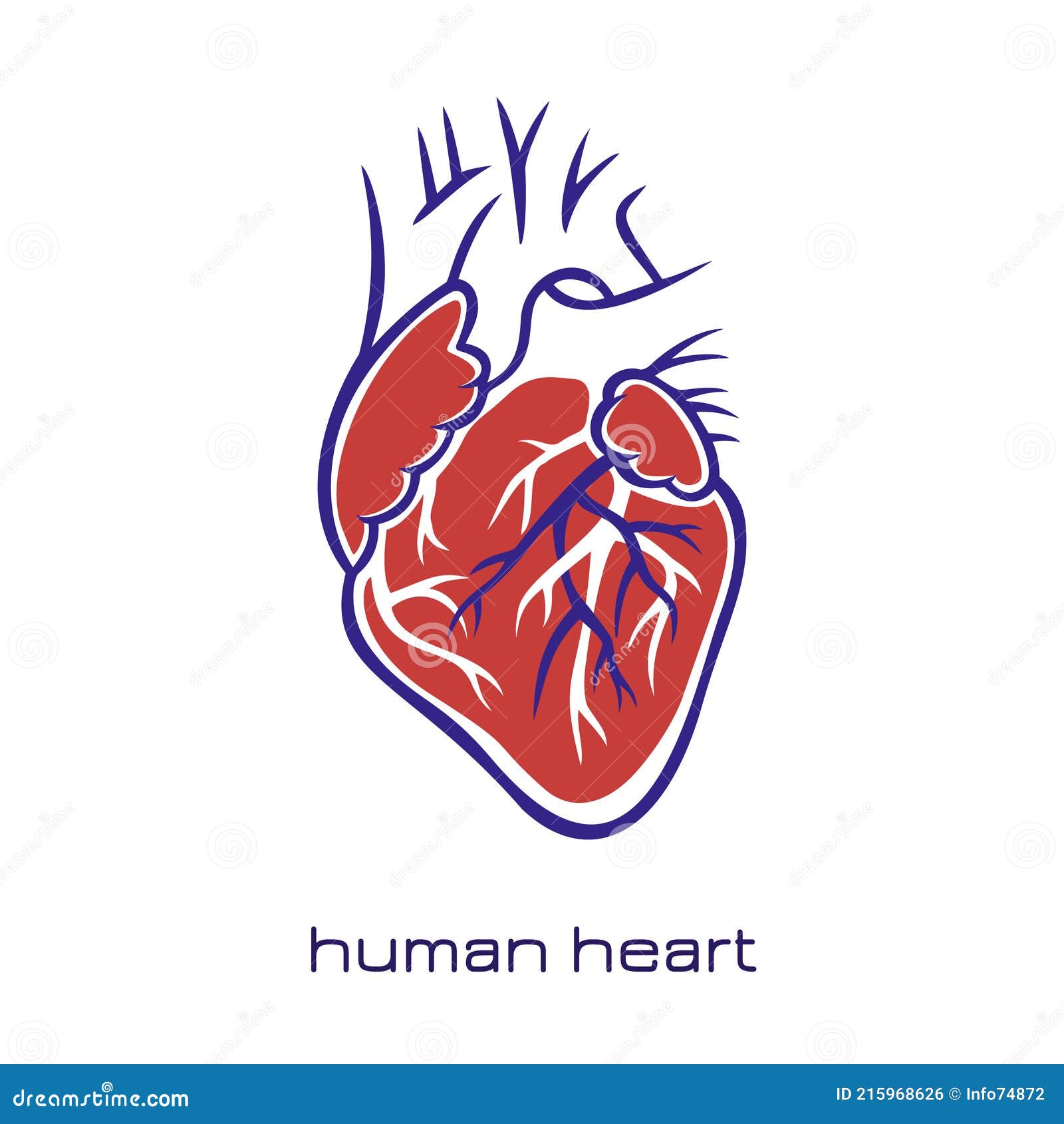 Human Heart Symbol. Vector Illustration Stock Vector - Illustration of ...
