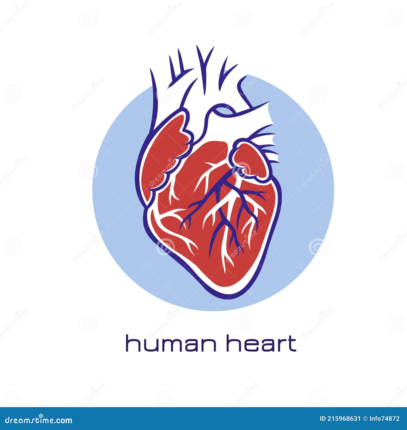 Human Heart Symbol. Vector Illustration Stock Vector - Illustration of ...