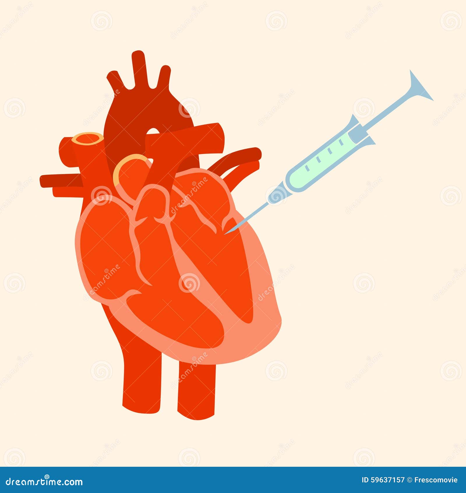The Human Heart with a Syringe Stock Vector - Illustration of papillary ...