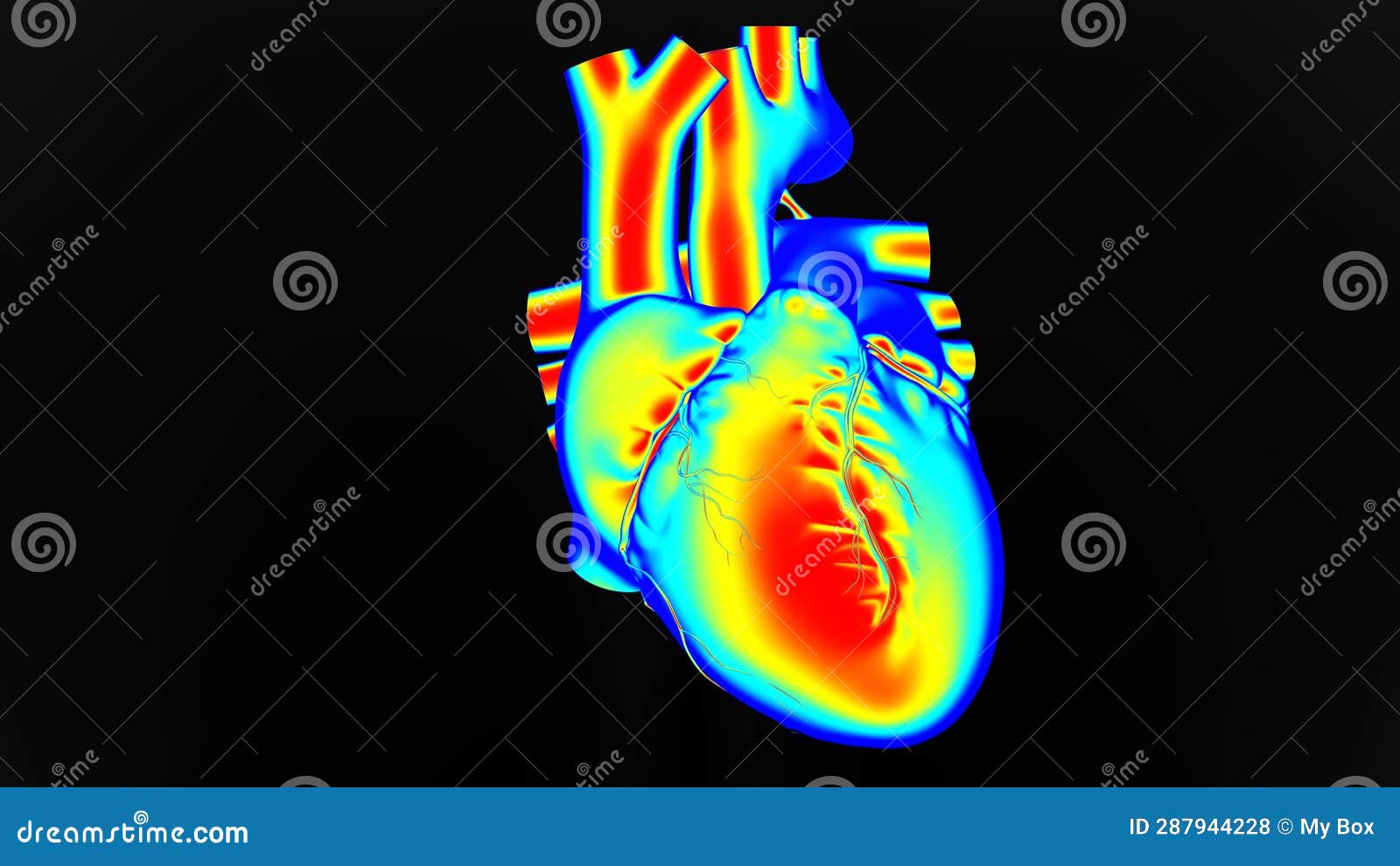 Human Heart Temperature Warm, Normal Cold. Man Thermographic ...