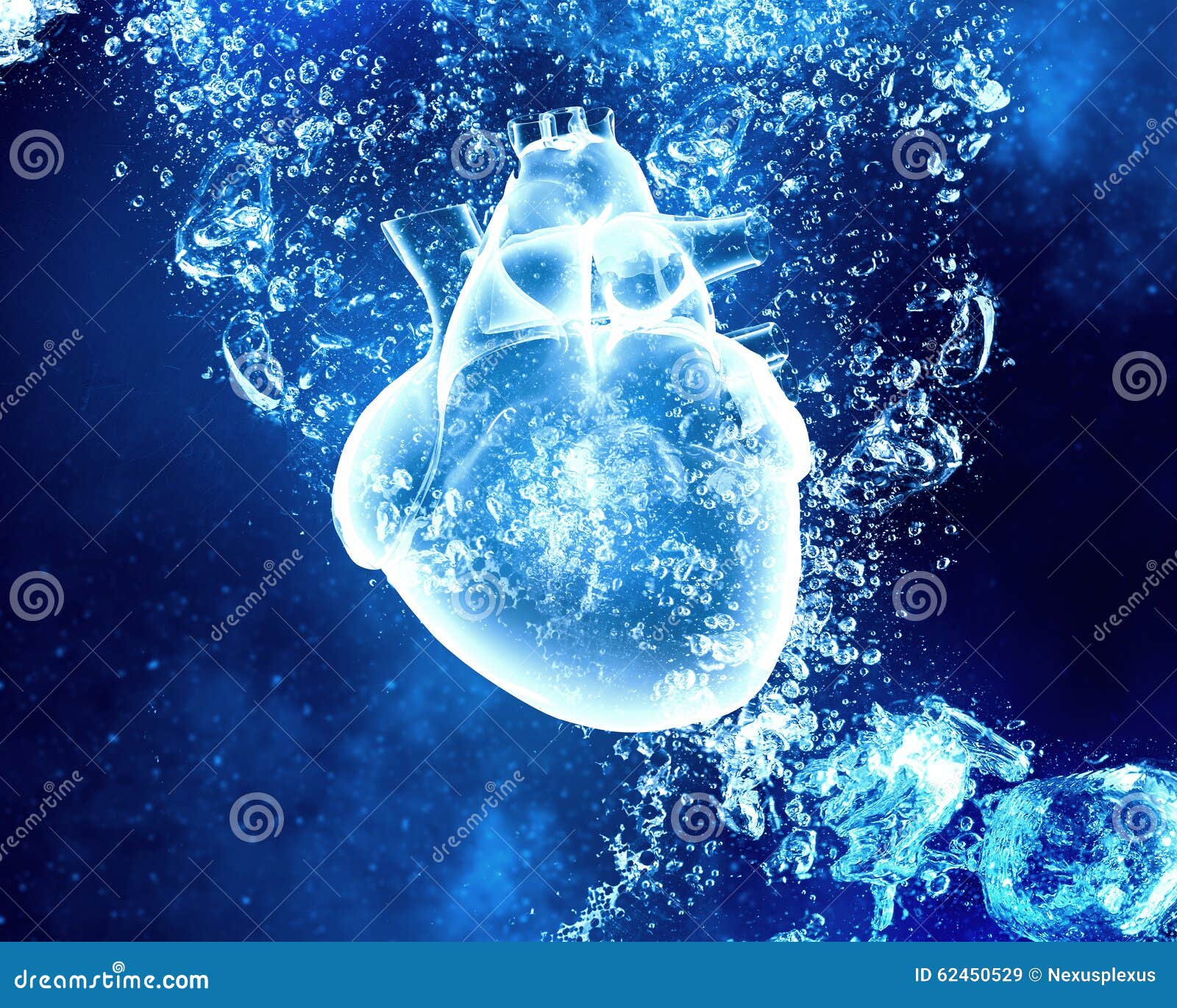 Human heart under water stock illustration. Illustration of heart ...