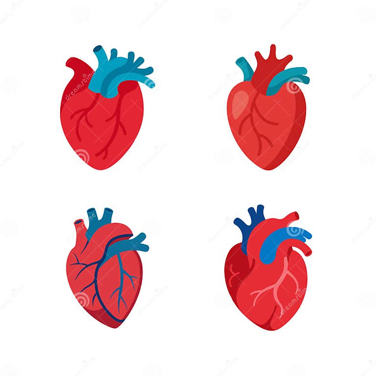 Human Heart Vector Art Illustration Elements Bundle Stock Vector - Illustration of hospital ...