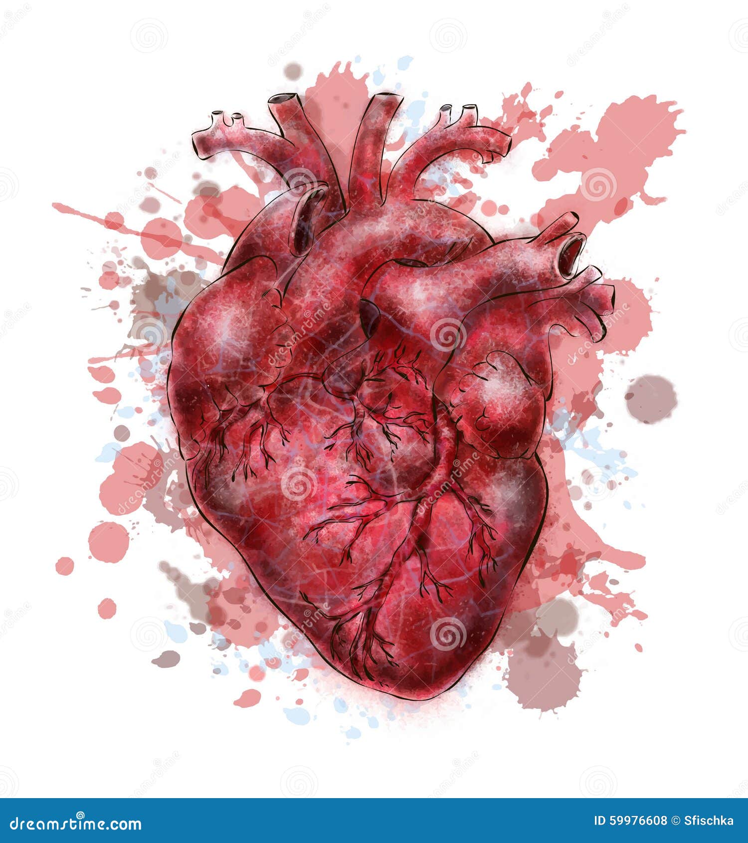 Human Heart Vector Free Download