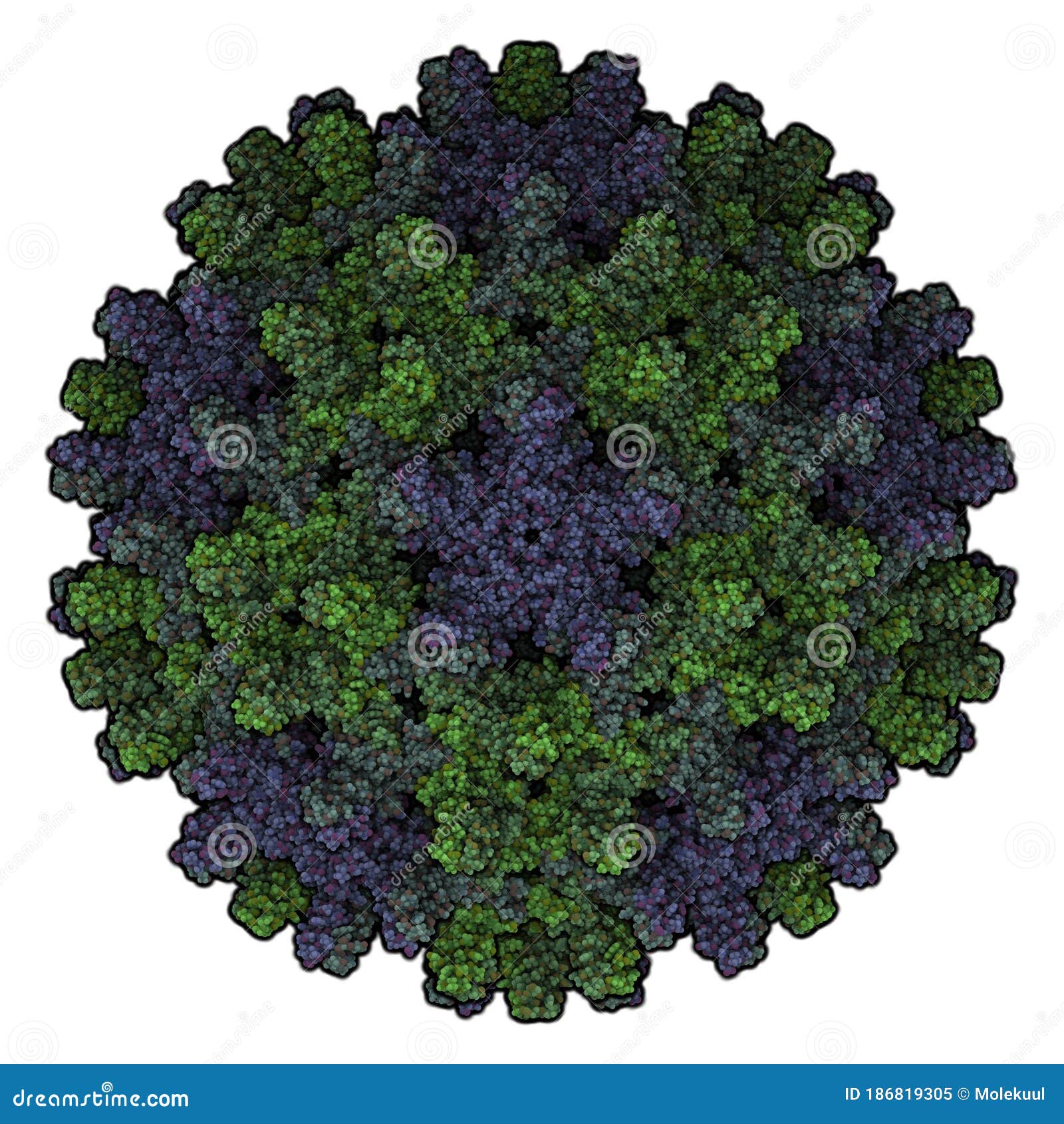 Human Hepatitis B Virus HBV Capsid. HBV Causes Hepatitis B, an ...