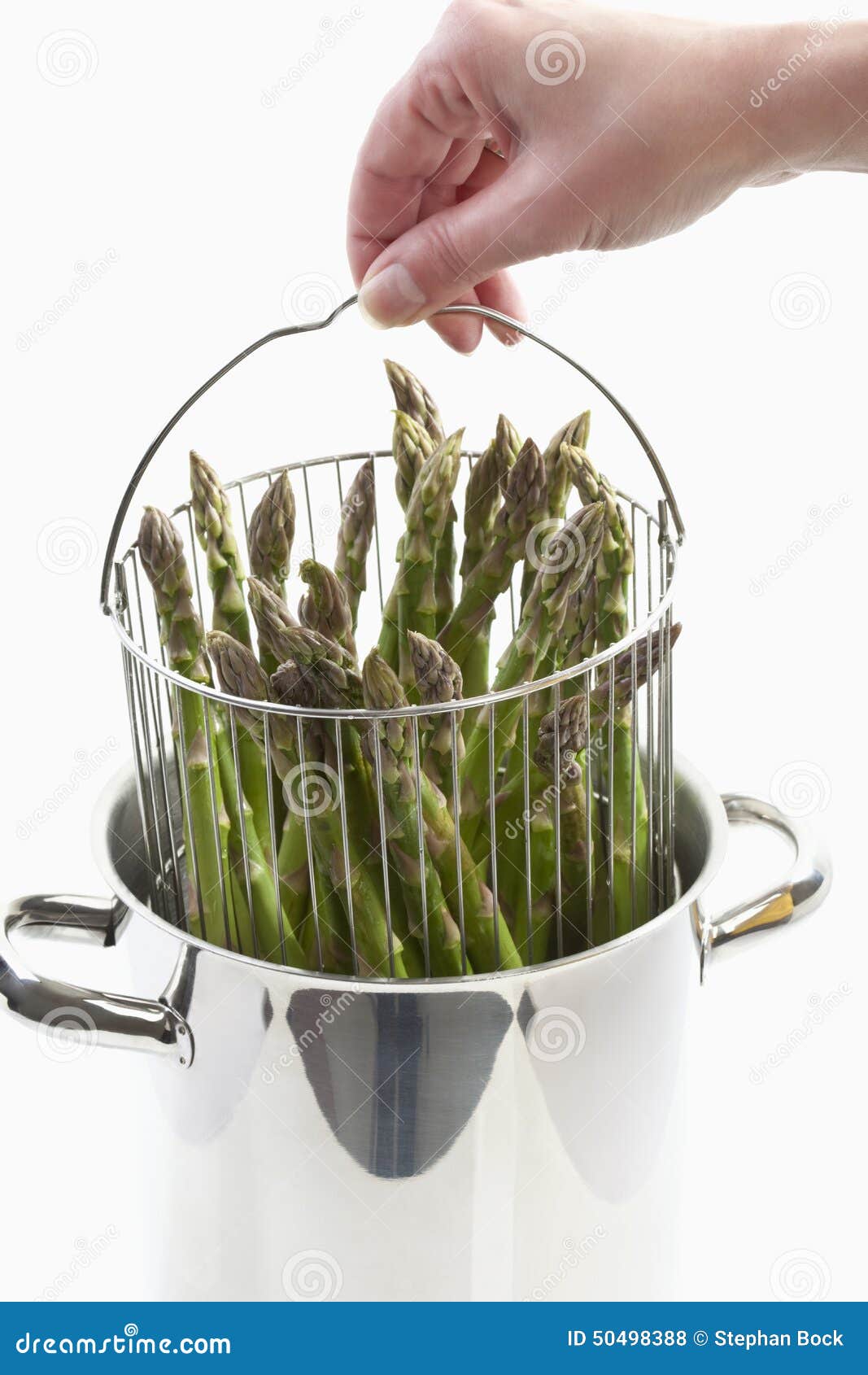 Human Holding Cooking Pot with Green Asparagus Stock Photo - Image of ...