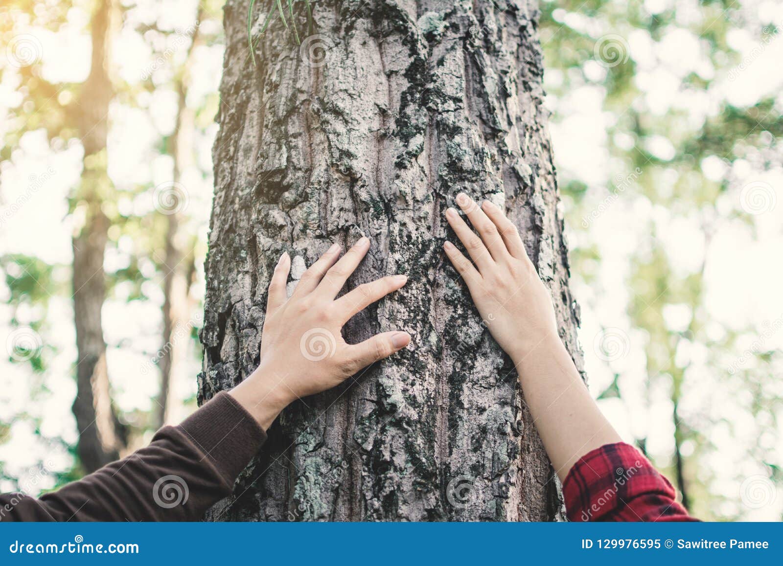 Human hugging big tree stock image. Image of human, nature - 129976595