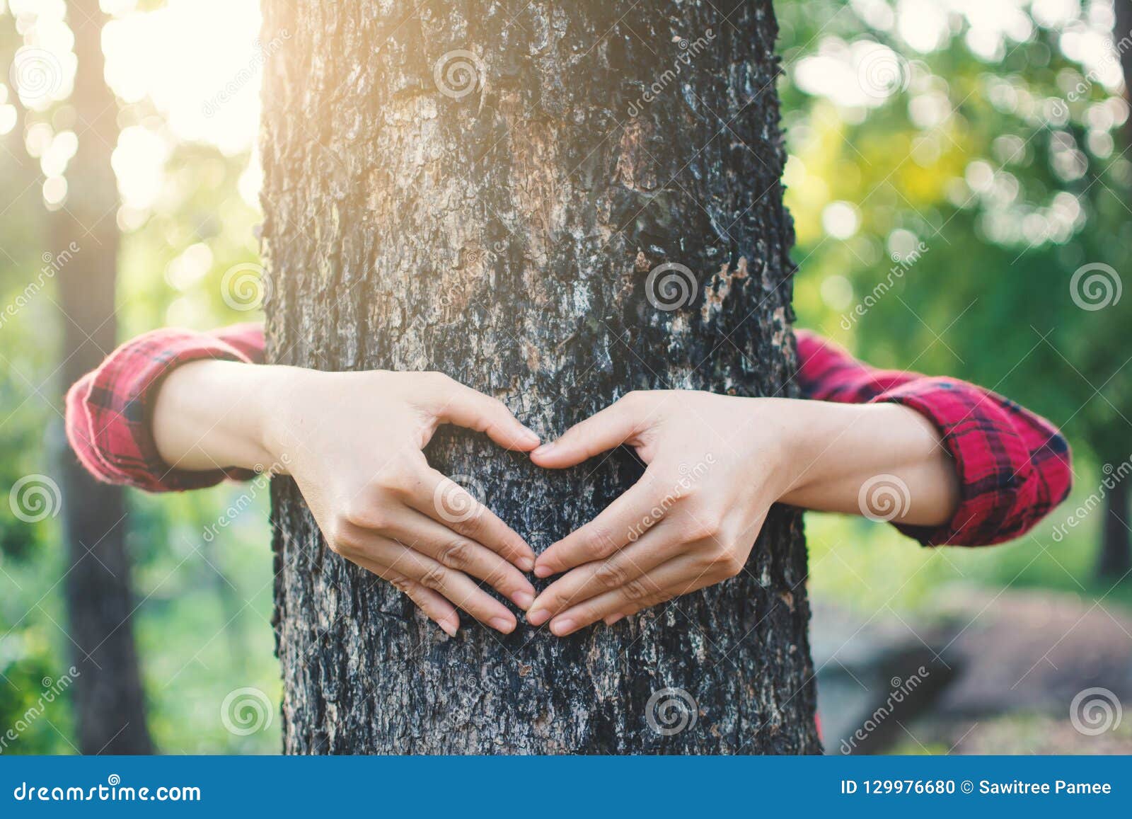 Human hugging big tree stock photo. Image of human, outside - 129976680