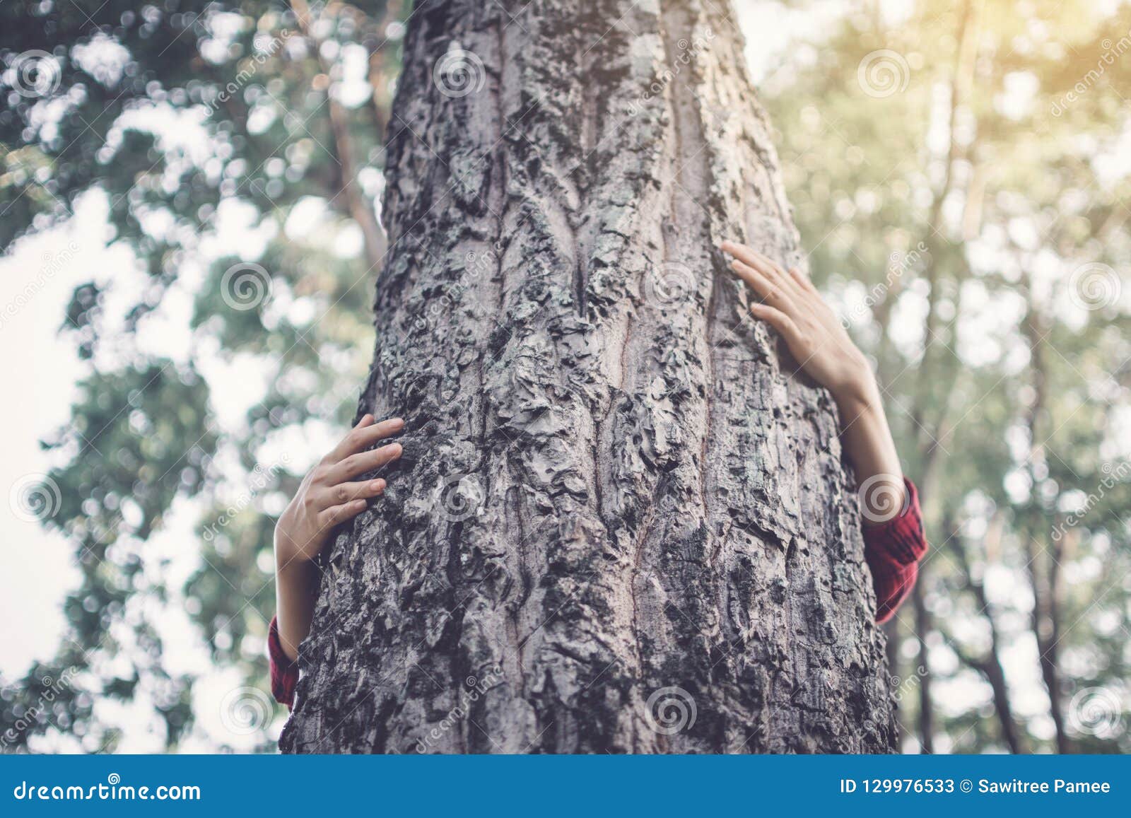 Human hugging big tree stock image. Image of hipster - 129976533