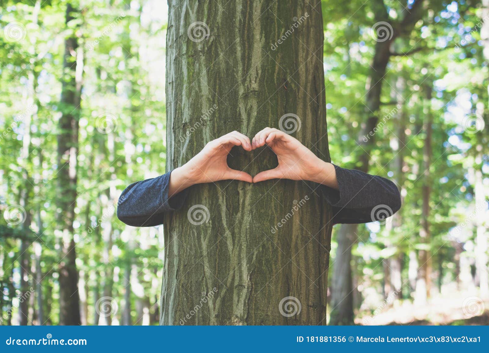 Human Hugging a Tree and Showing Heart Stock Photo - Image of nature ...