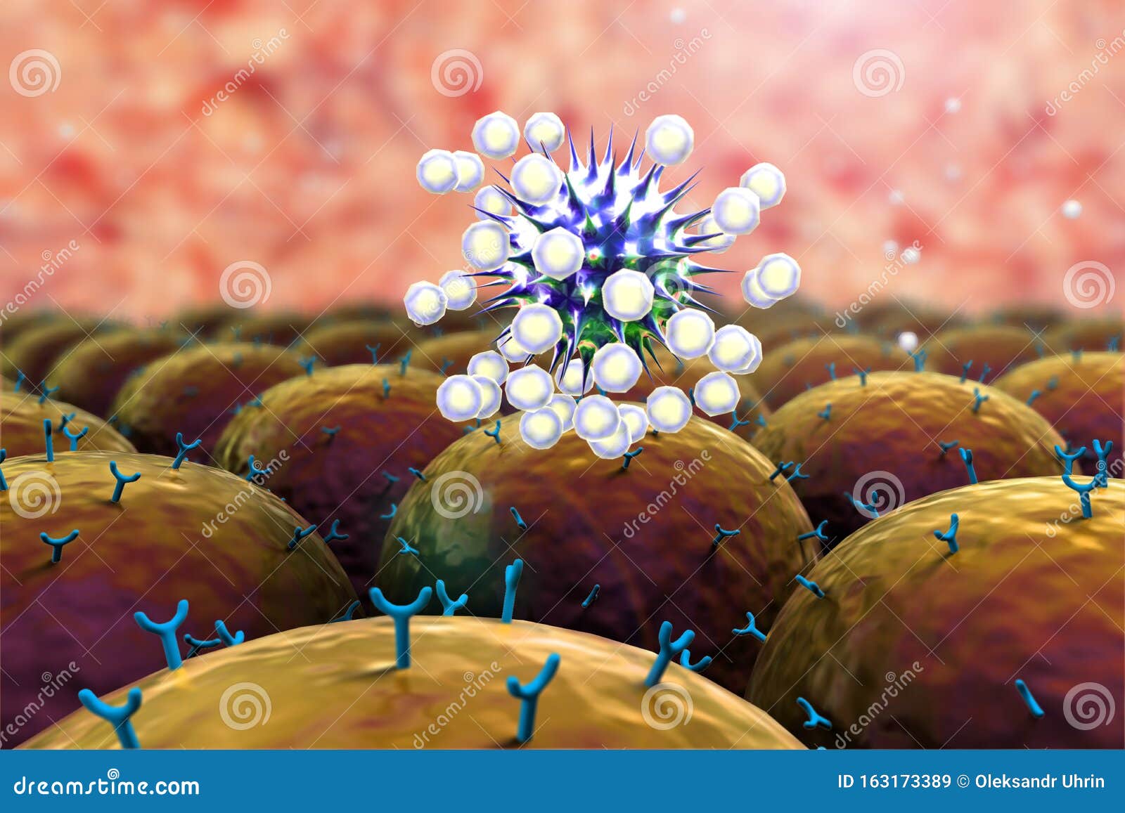 Human Immune System Attack the Virus Stock Illustration - Illustration ...