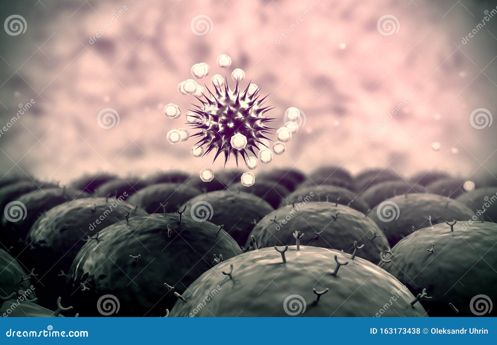 Human Immune System Attack the Virus Stock Illustration - Illustration ...