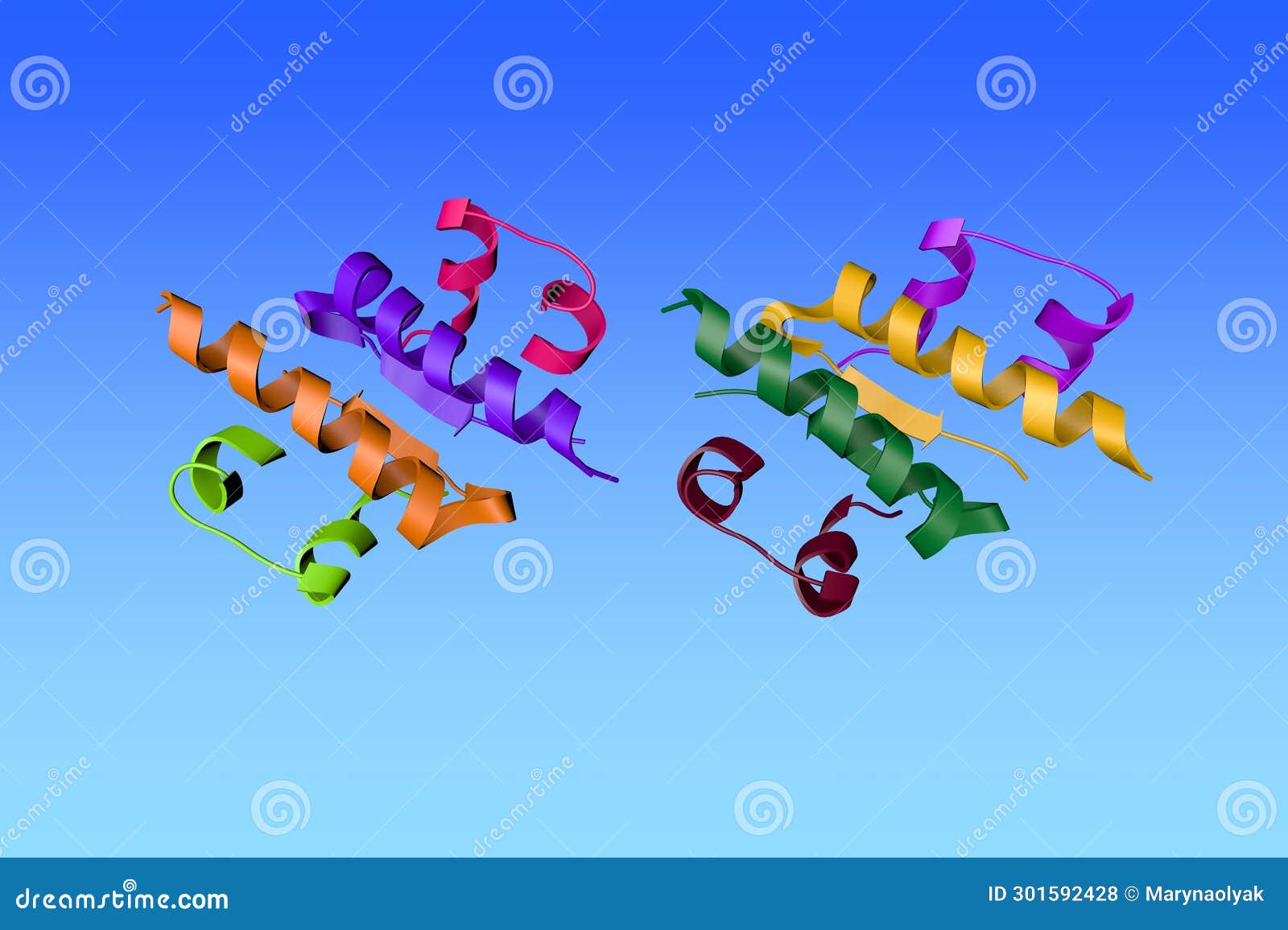 Human Insulin. Ribbons Diagram on Blue Background. Rendering with ...