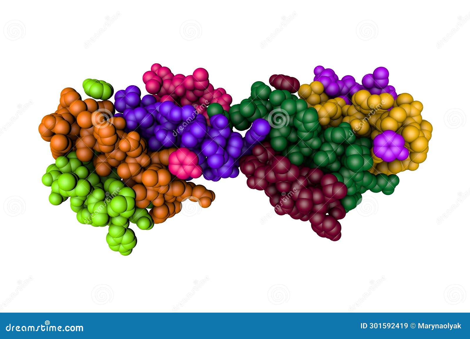 Human Insulin. Space-filling Molecular Model. Rendering with ...