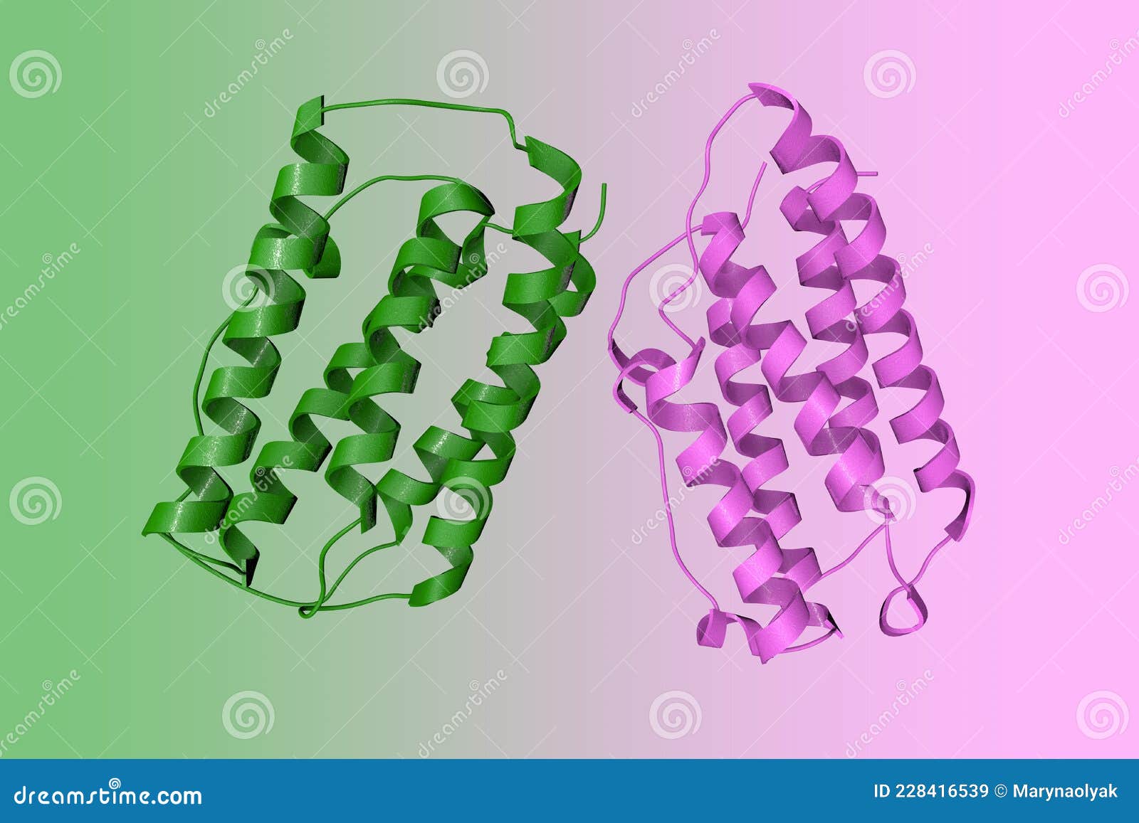 Human Interferon Beta Crystal Structure. Rendering with Differently ...