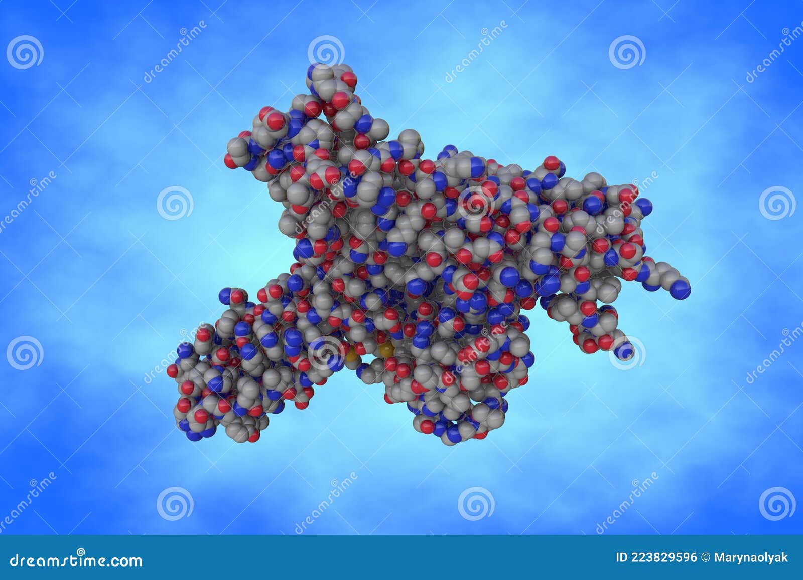 Human Interleukin-5 in Complex with Its Receptor. Atoms are Represented ...