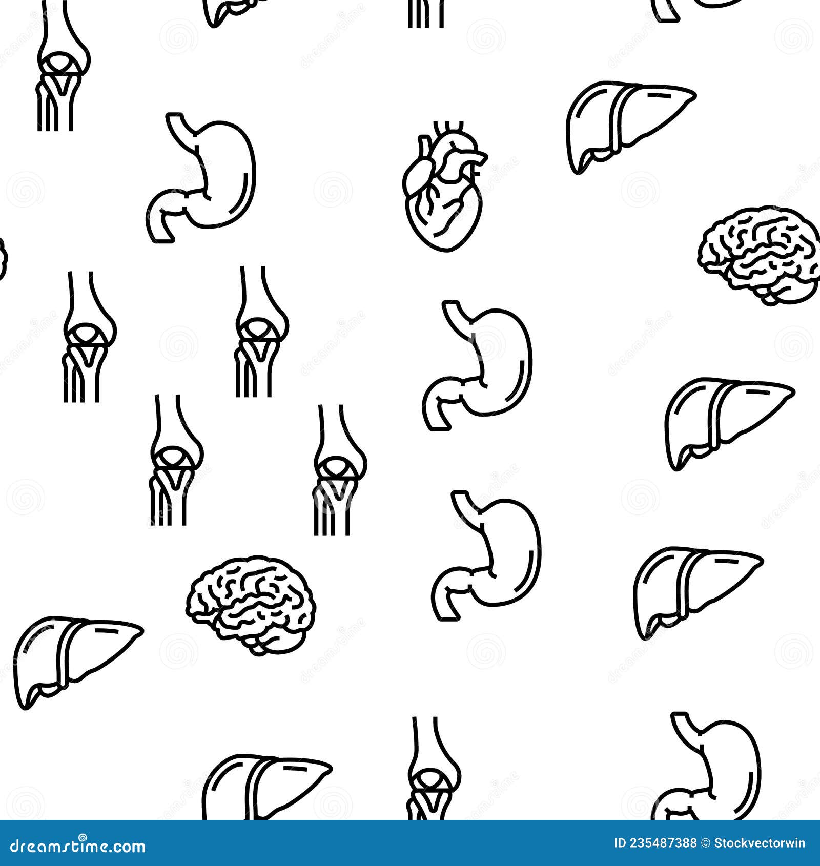 Human Internal Organ Anatomy Vector Seamless Pattern Stock Vector ...