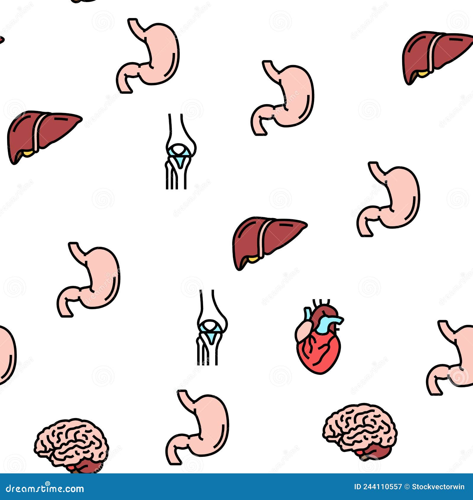Human Internal Organ Anatomy Vector Seamless Pattern Stock Vector ...