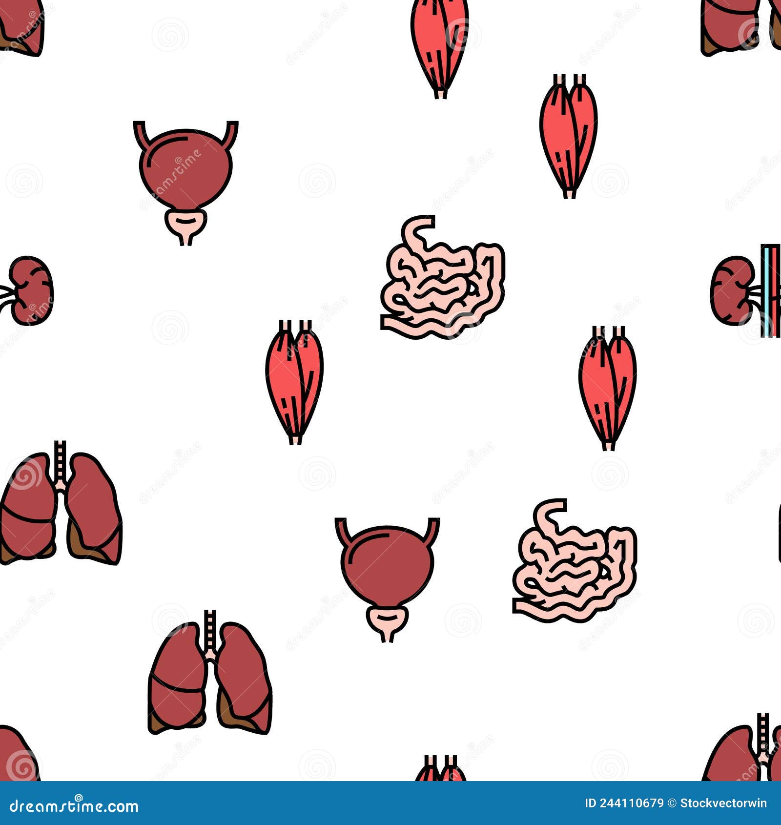 Human Internal Organ Anatomy Vector Seamless Pattern Stock Vector ...