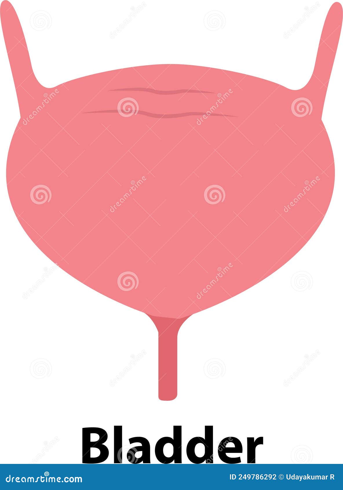 Bladder Flush Icon Black Line Art Vector Logo | CartoonDealer.com ...