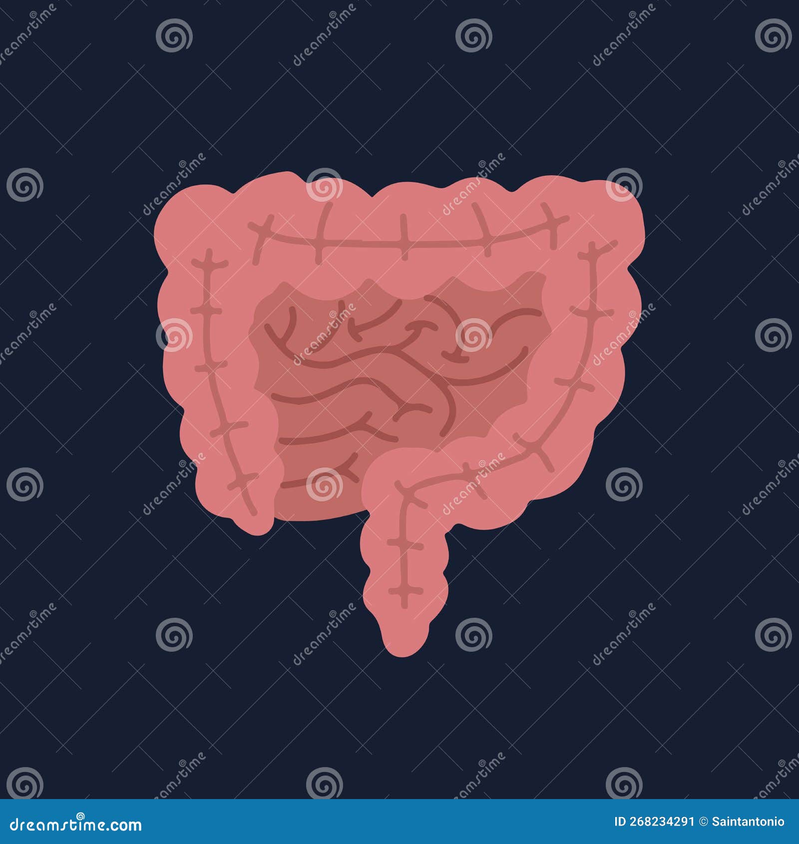 Human Internal Organs Cartoon Anatomy Body Part Intestinal System