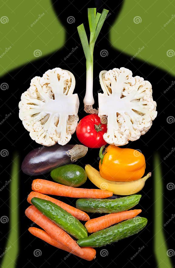 Human Internal Organs Lined with Vegetables Stock Photo - Image of ...