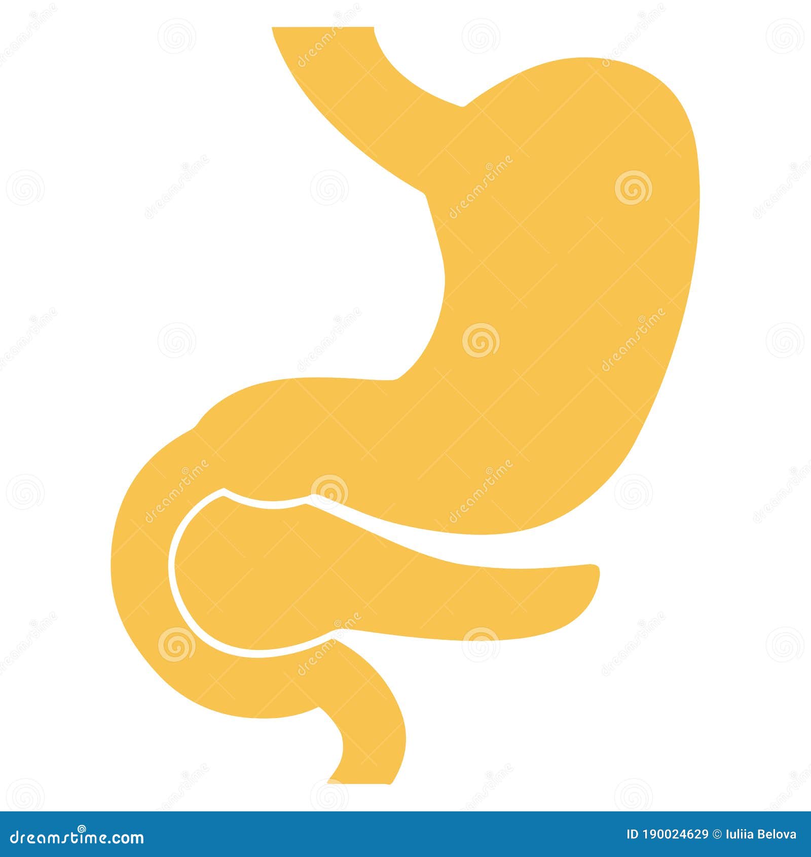 Human Internal Organs: Stomach and Pancreas. Flat Design Stock Vector ...