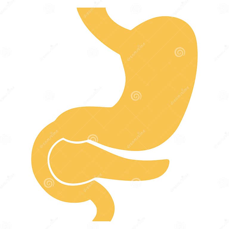 Human Internal Organs: Stomach and Pancreas. Flat Design Stock Vector ...