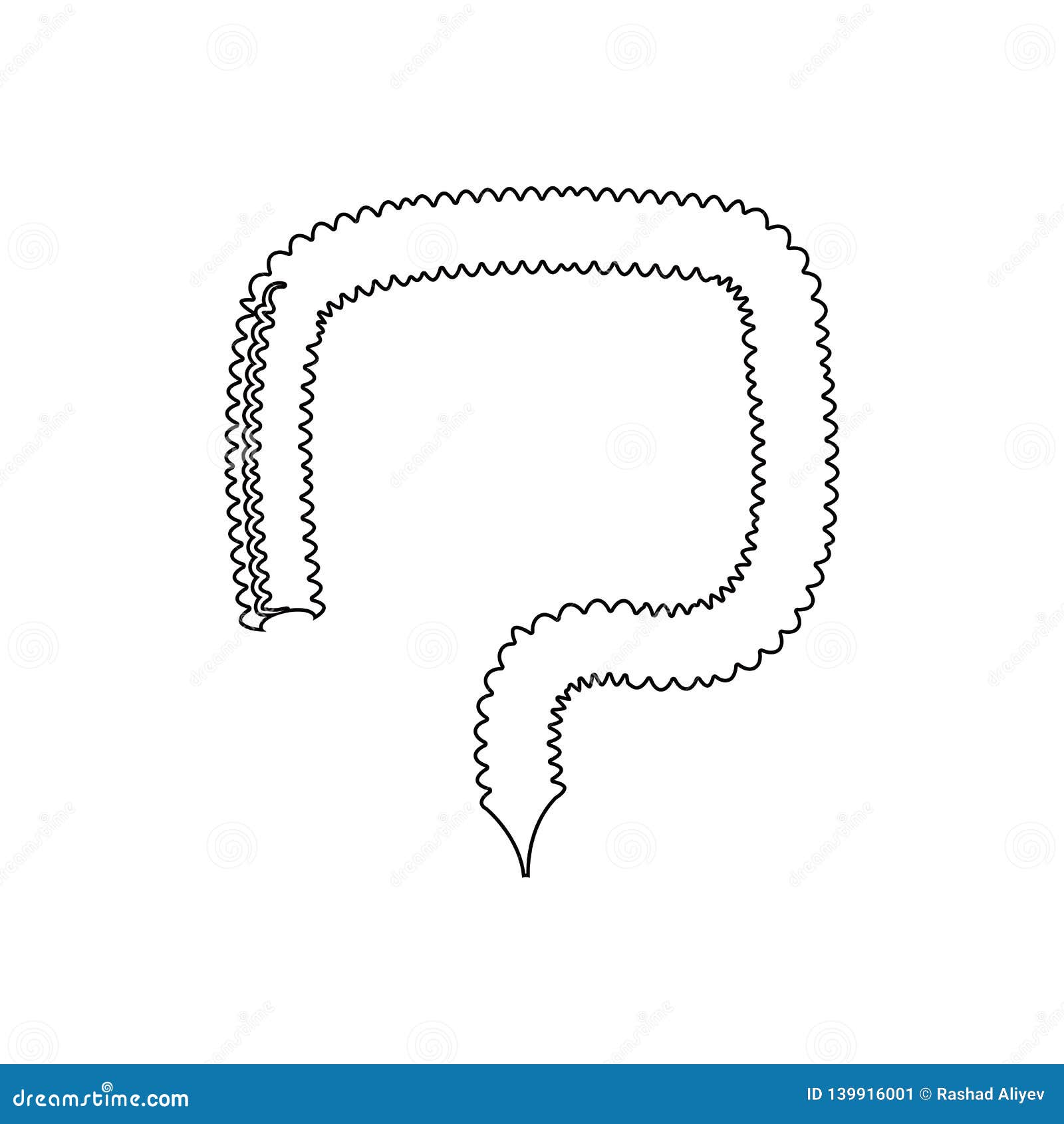 The Human Intestine Icon. Element of Human Parts for Mobile Concept and ...