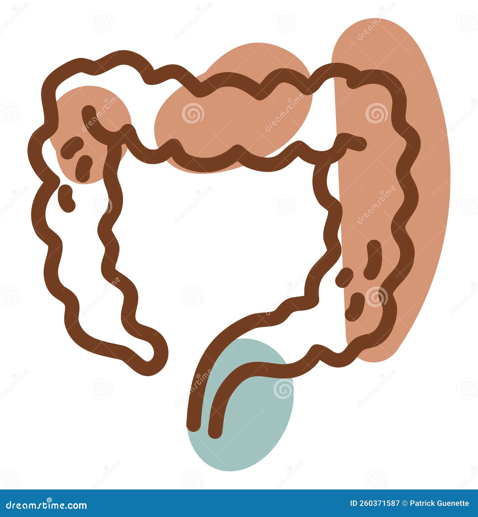 Human intestines, icon stock vector. Illustration of inflammation ...