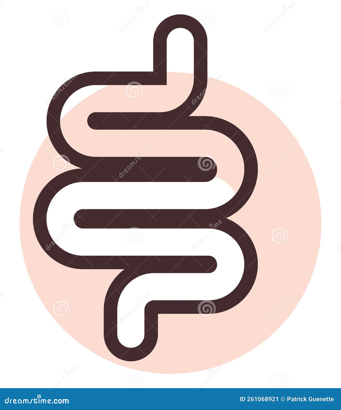 Human intestines, icon stock vector. Illustration of large - 261068921