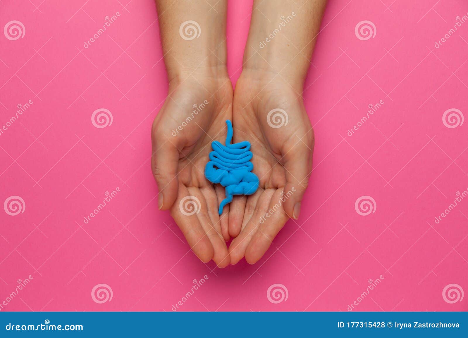 357 Pink Bowel Stock Photos - Free & Royalty-Free Stock Photos from ...