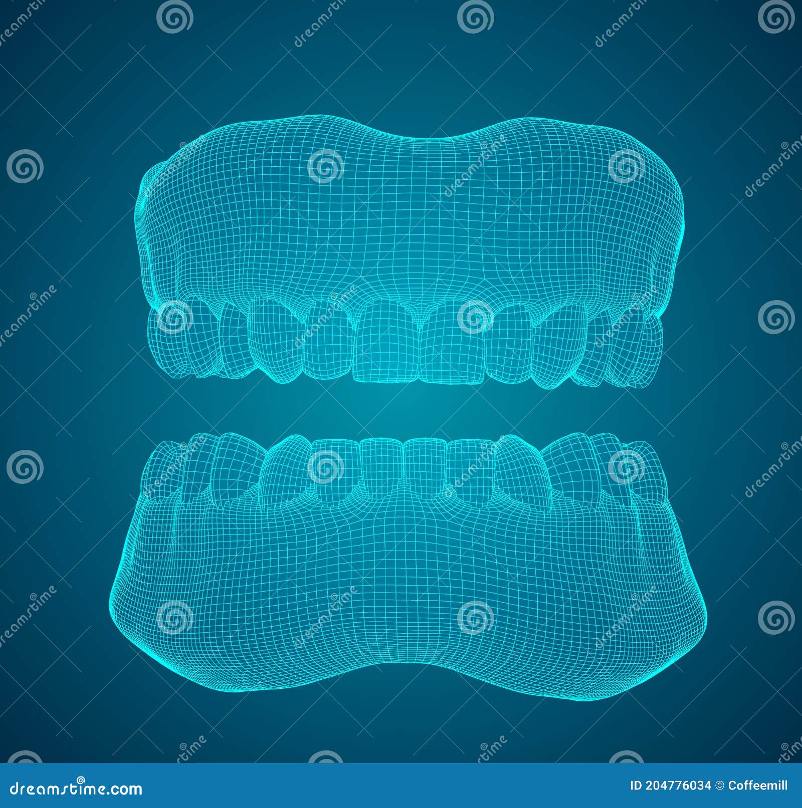 Human Jaw. 3d Vector Layout Stock Vector - Illustration of enamel ...