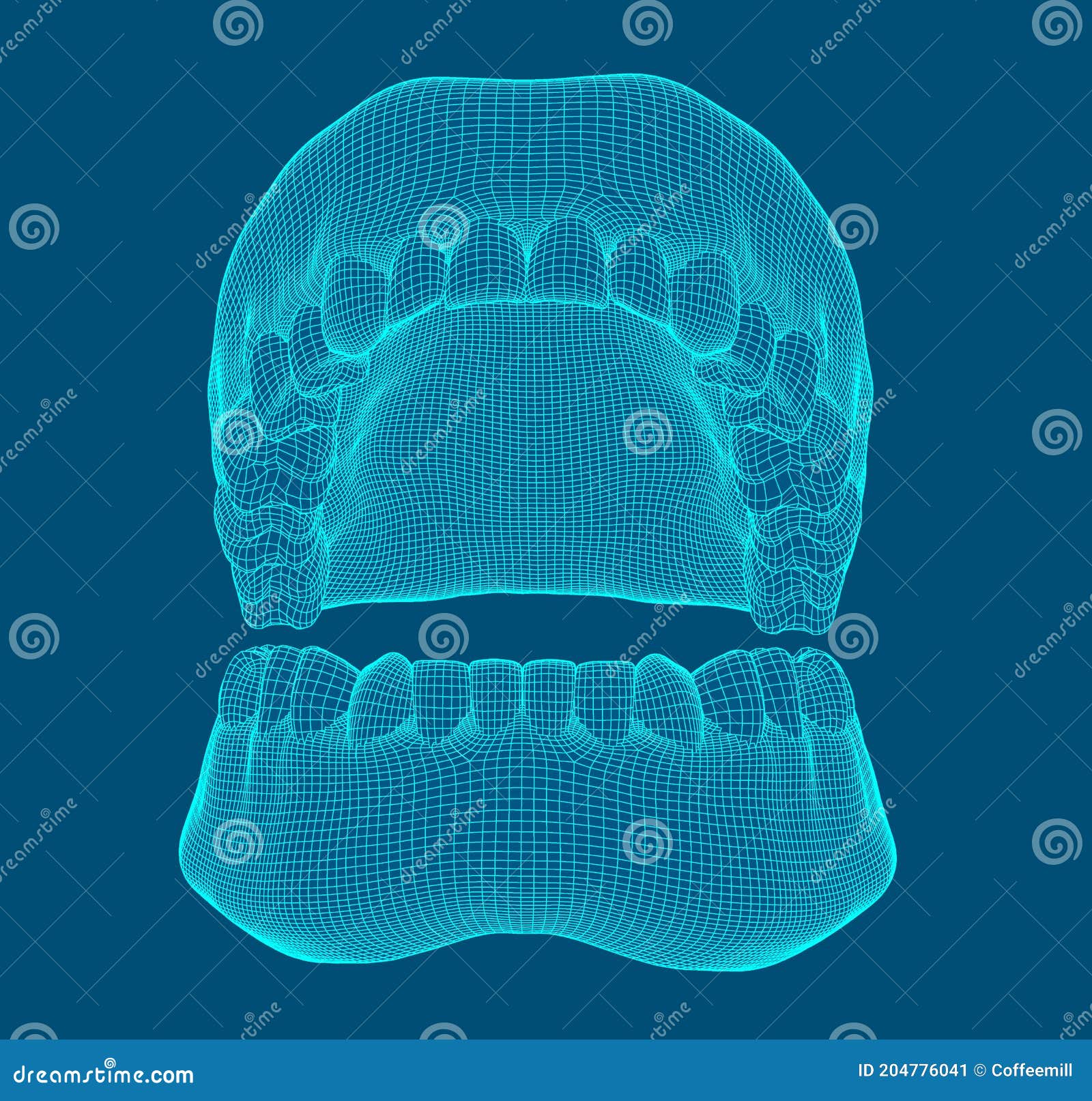 Human Jaw. 3d Vector Layout Stock Vector - Illustration of blue, human ...