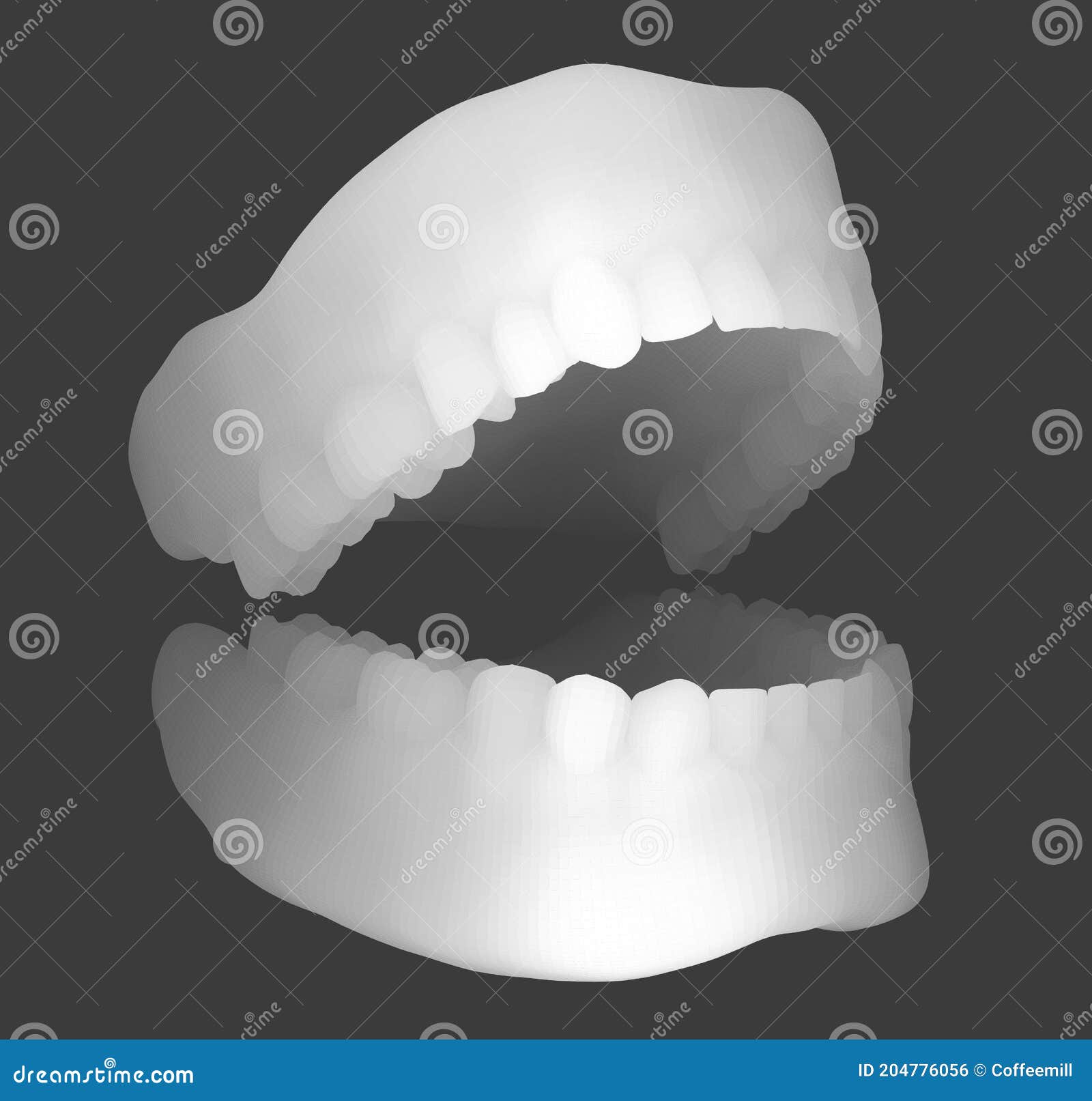Human Jaw. 3d Vector Layout Stock Vector - Illustration of seal ...
