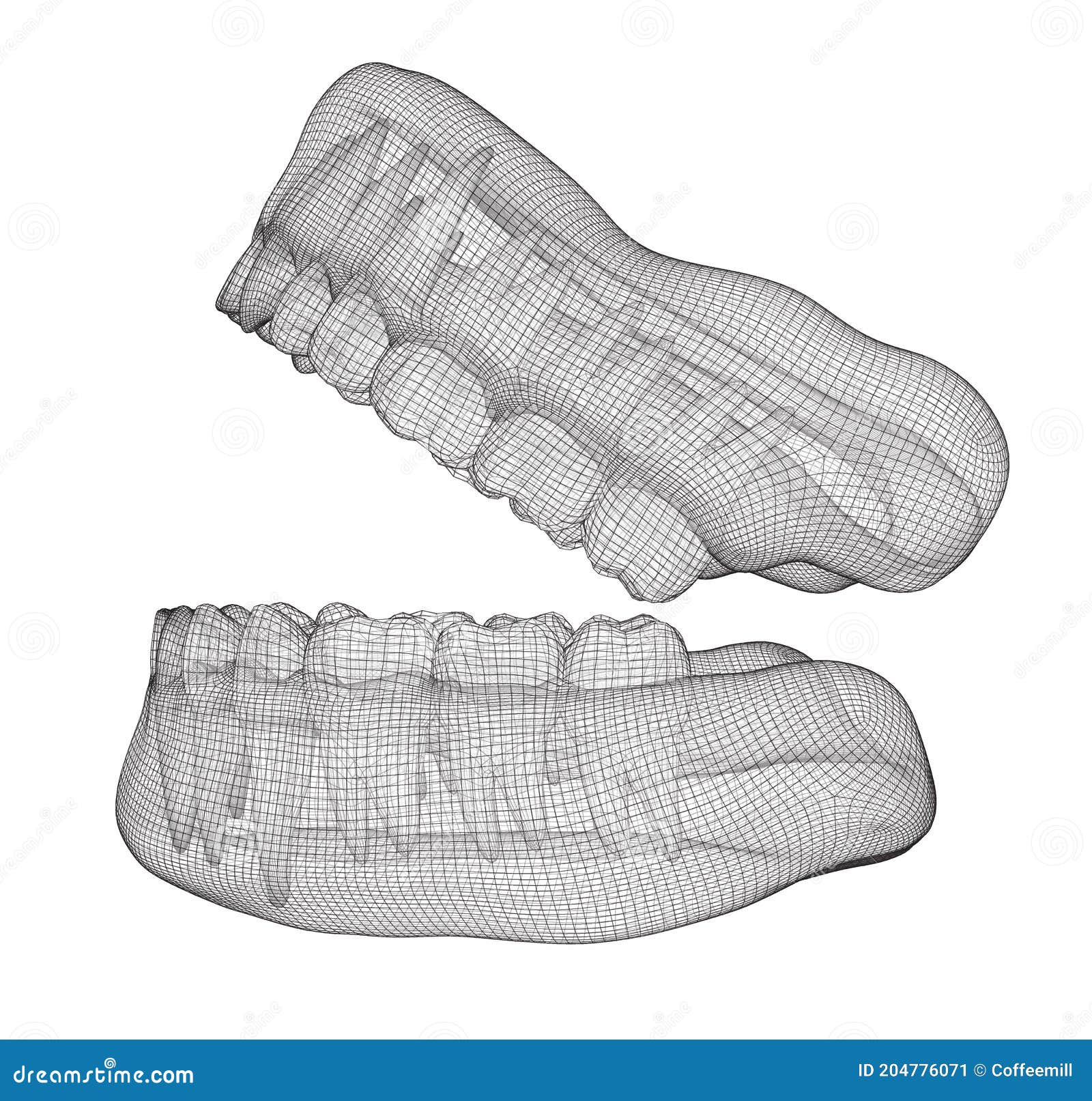Human Jaw. 3d Vector Layout Stock Vector - Illustration of enamel ...