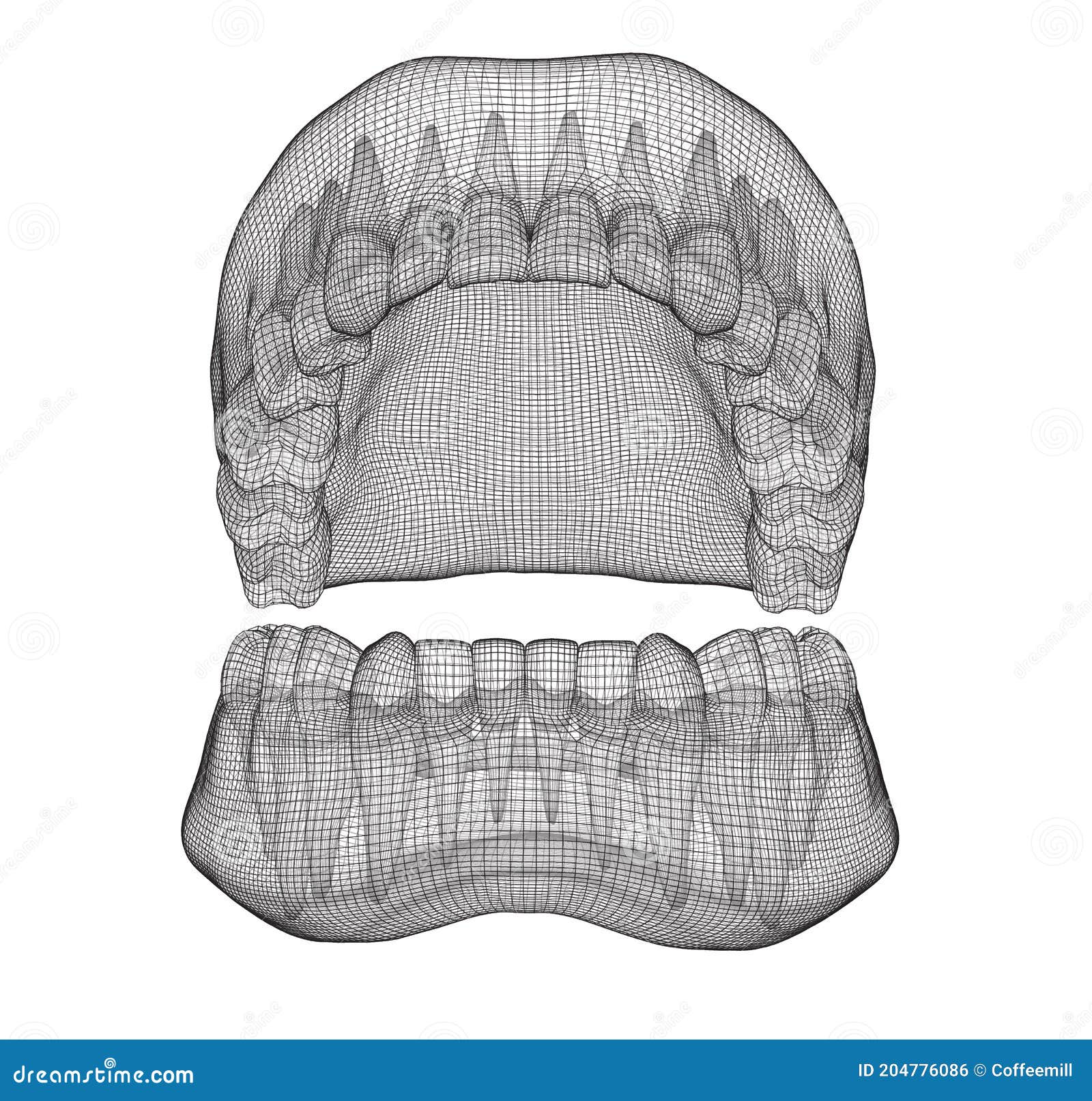 Human Jaw. 3d Vector Layout Stock Vector - Illustration of implantation ...