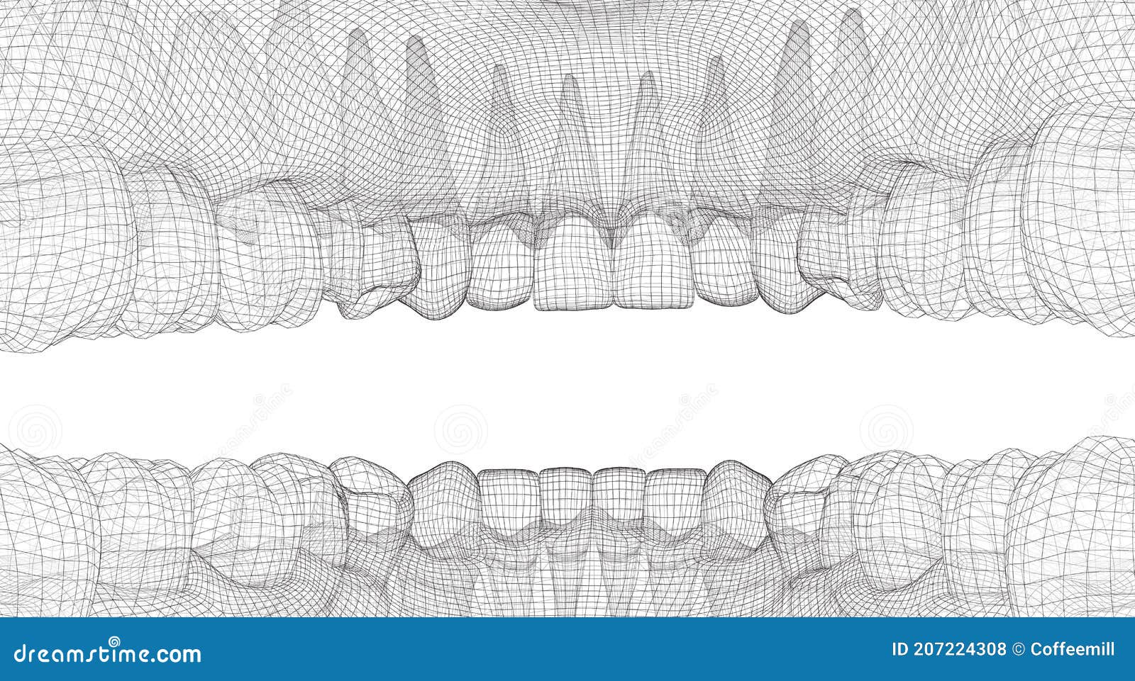 Human Jaw. 3d Vector Layout Stock Vector - Illustration of care, crown ...