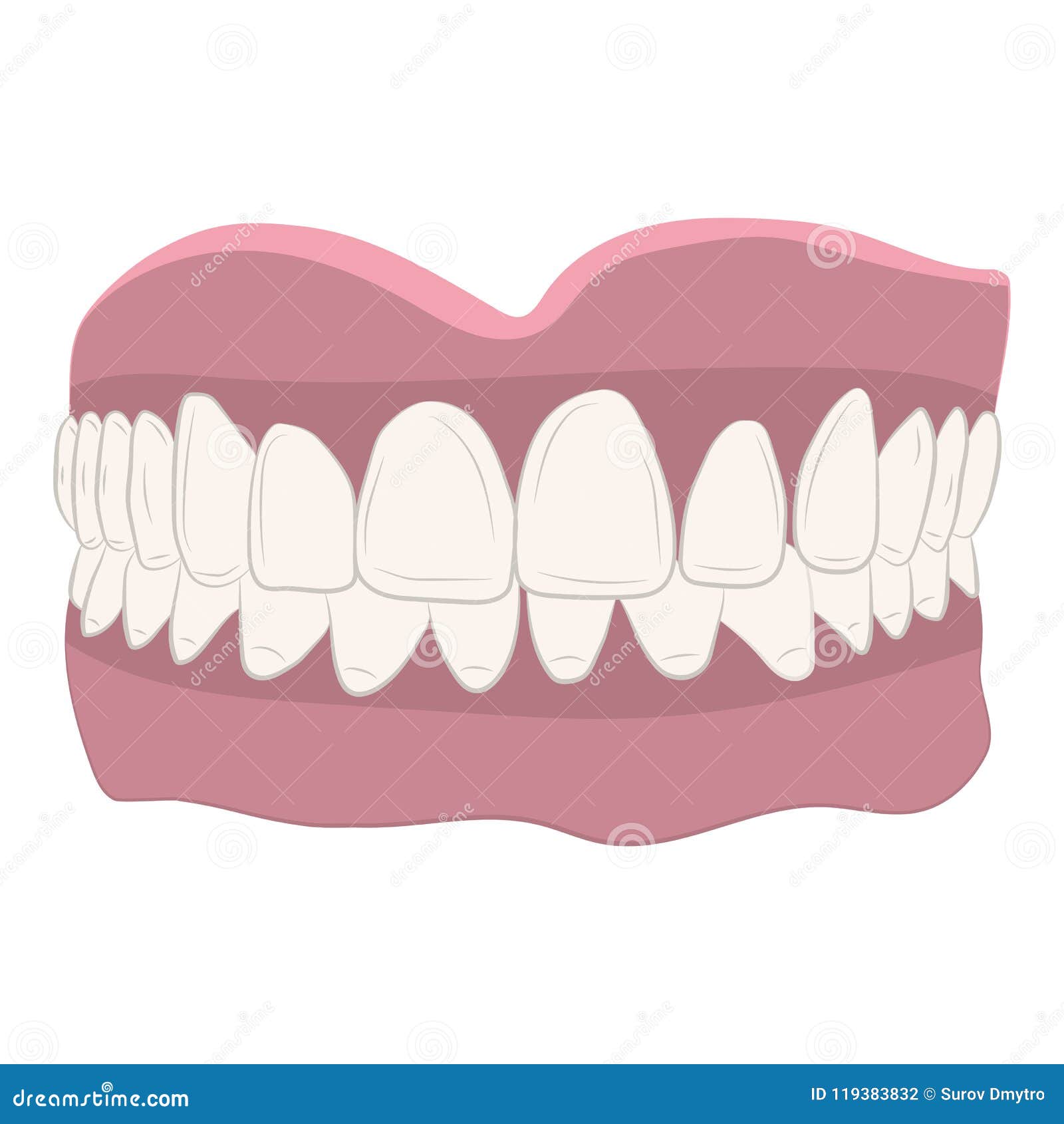 Human Jaw with Teeth. Vector Drawing Illustration Stock Illustration ...