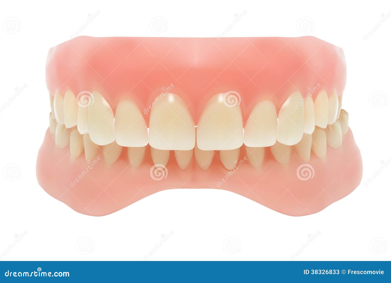 Human jaw. stock vector. Illustration of medical, human - 38326833