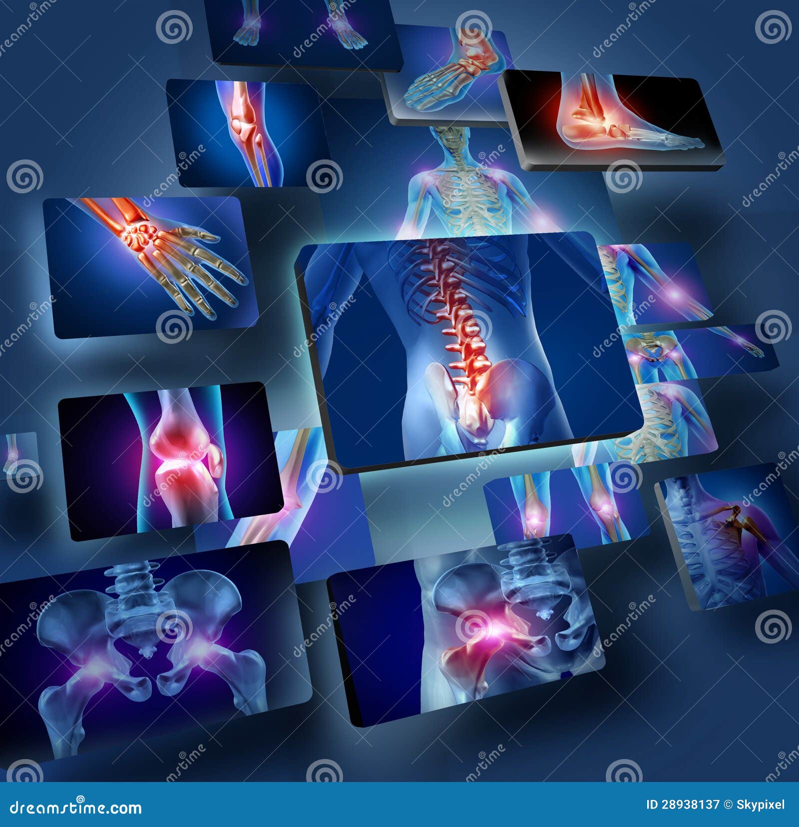 Human Joints Vector Set. Orthopedic And Spine | CartoonDealer.com #60789895