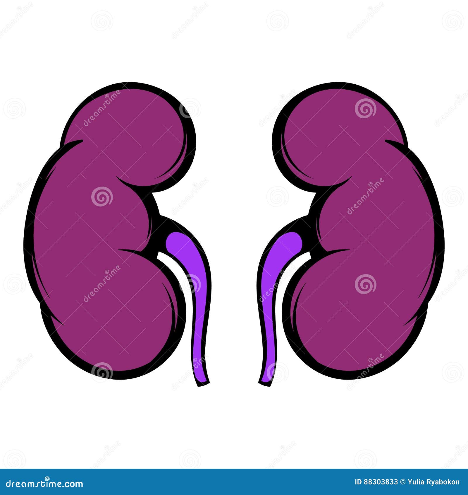 Human Kidney Icon, Icon Cartoon Stock Vector - Illustration of ...