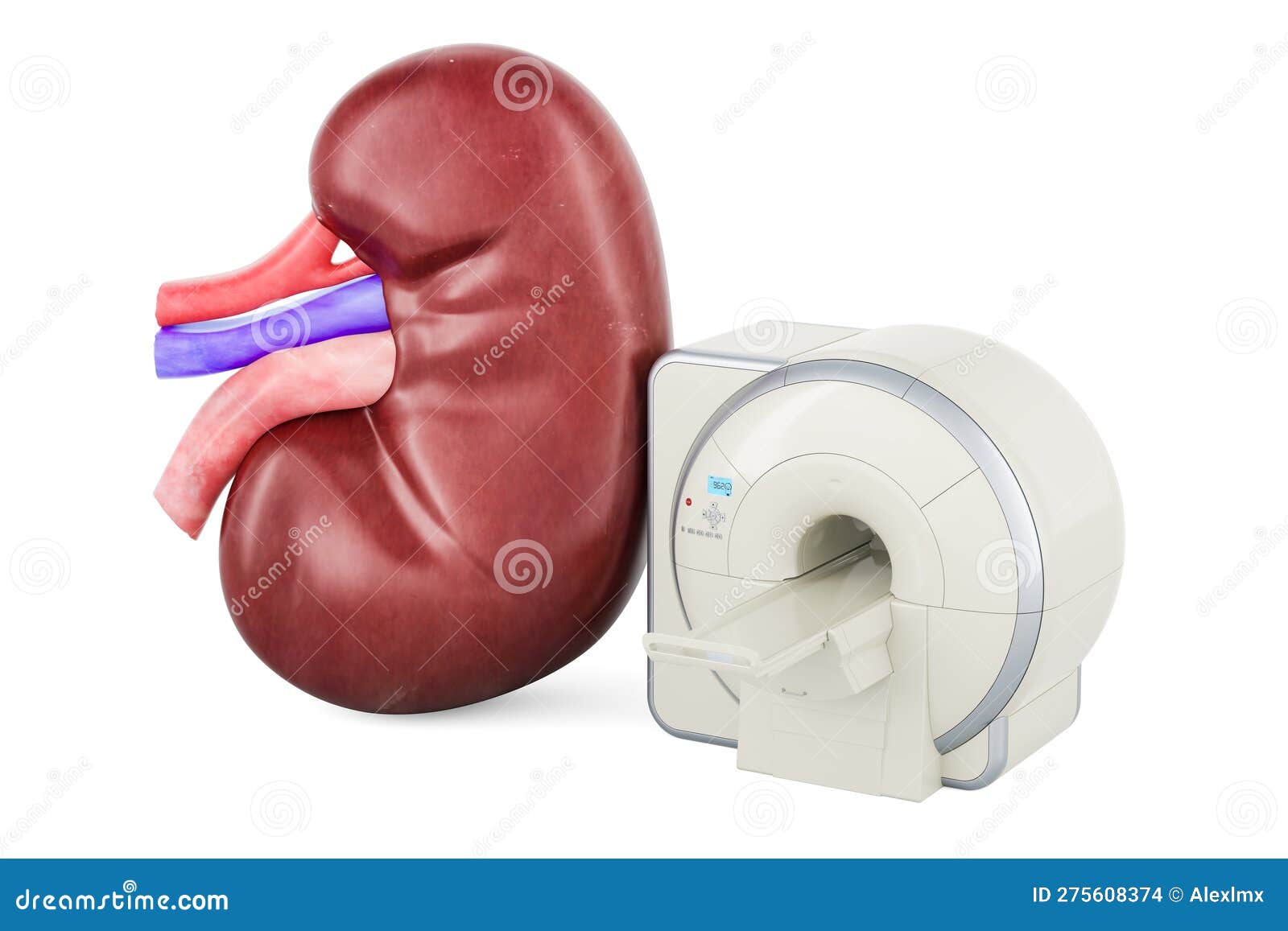 Human Kidney with MRI. 3D Rendering Stock Illustration - Illustration ...