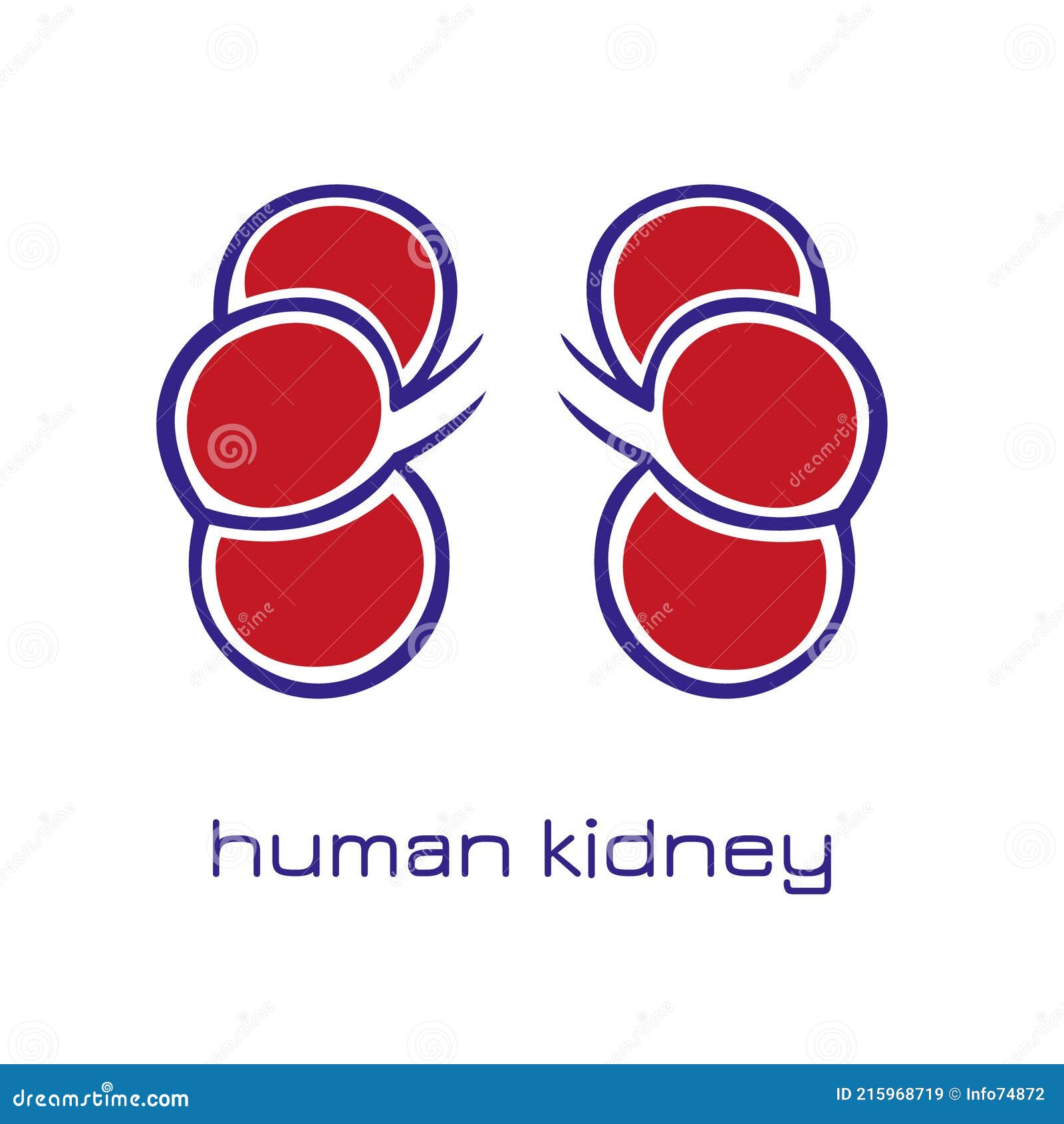 Human Kidney Symbol. Vector Illustration. Stock Vector - Illustration ...