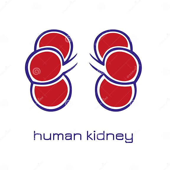 Human Kidney Symbol. Vector Illustration. Stock Vector - Illustration ...