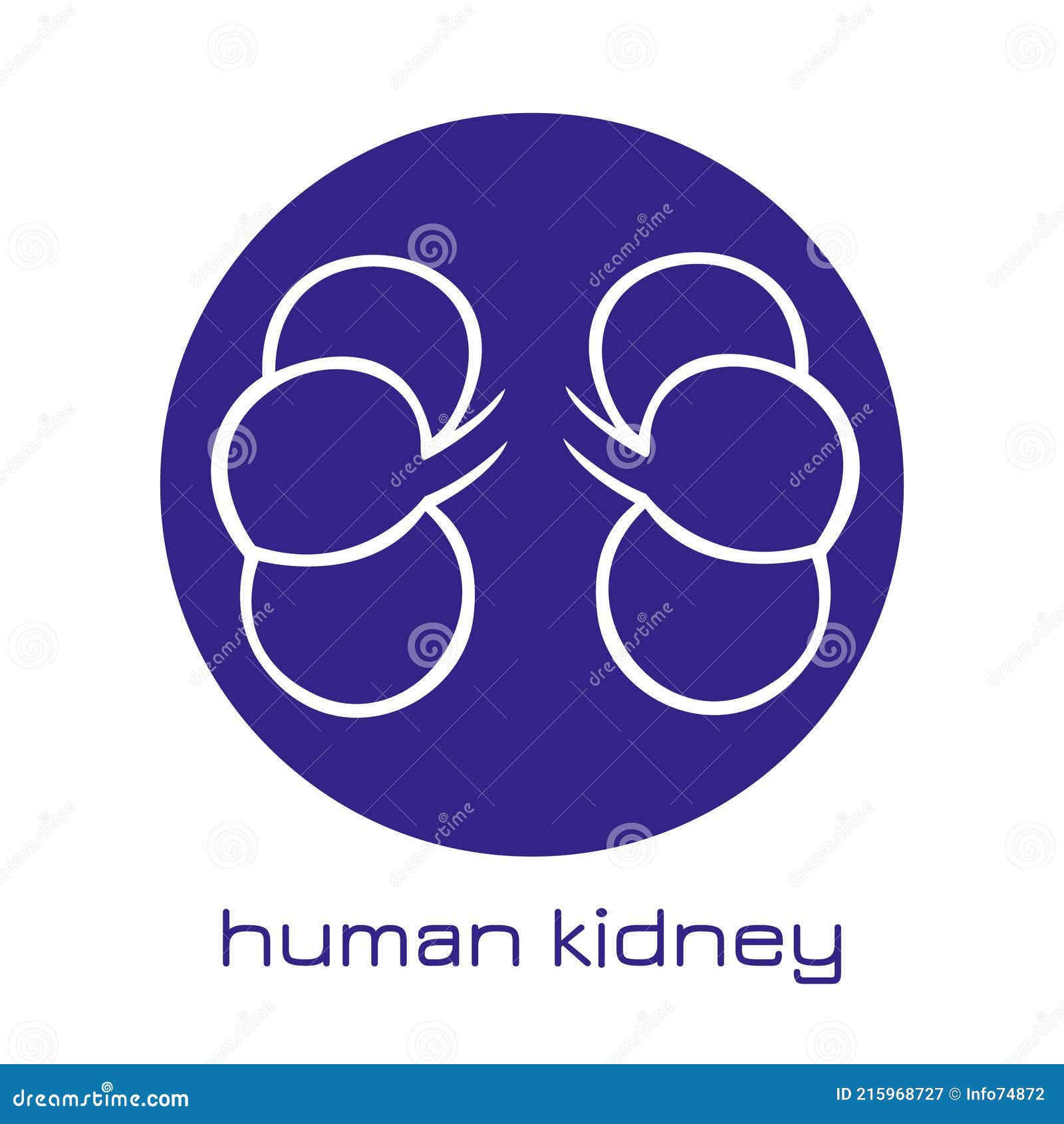 Human Kidney Symbol. Vector Illustration. Stock Vector - Illustration ...