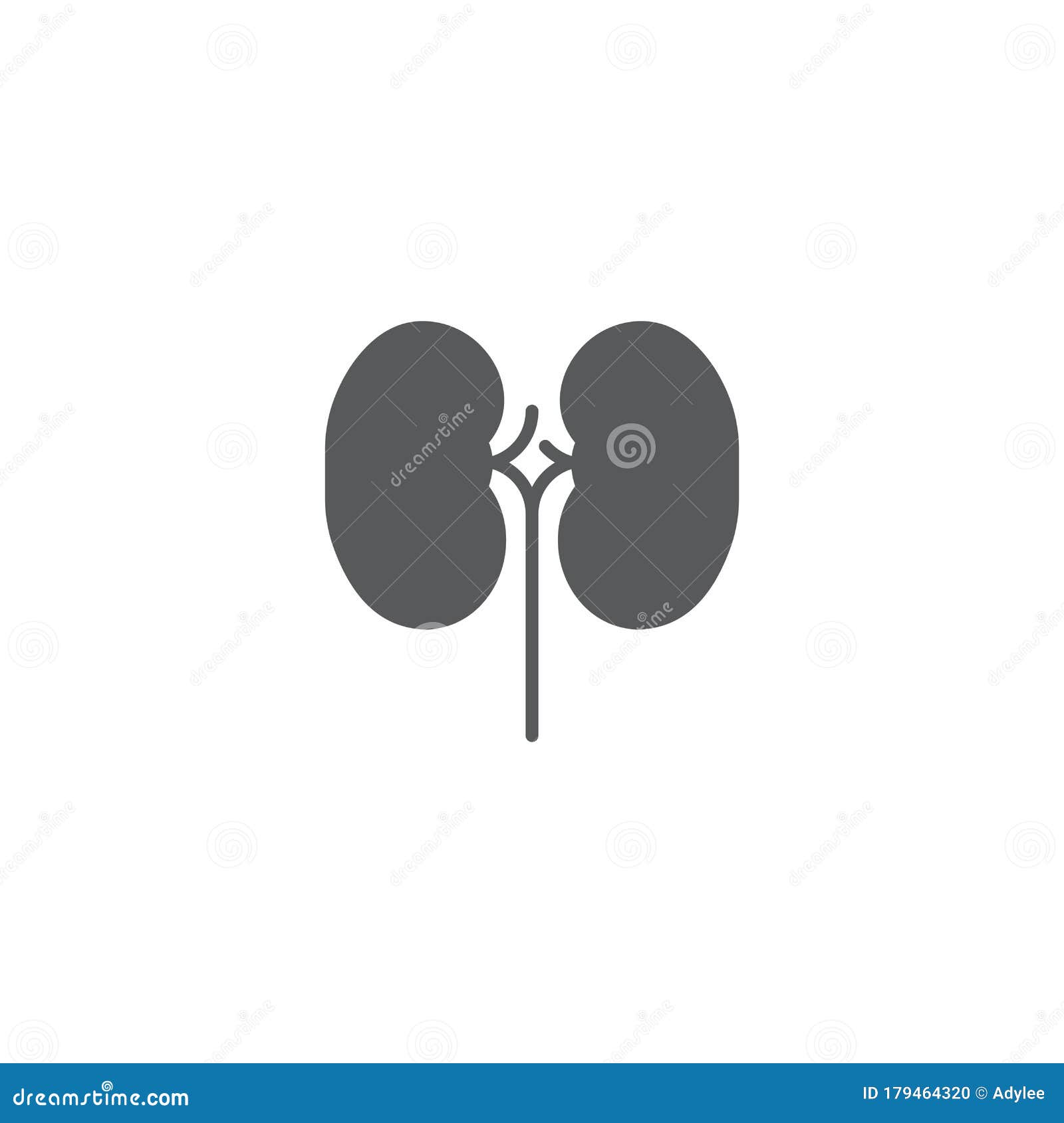 Human Kidney Vector Icon Symbol Isolated on White Background Stock ...