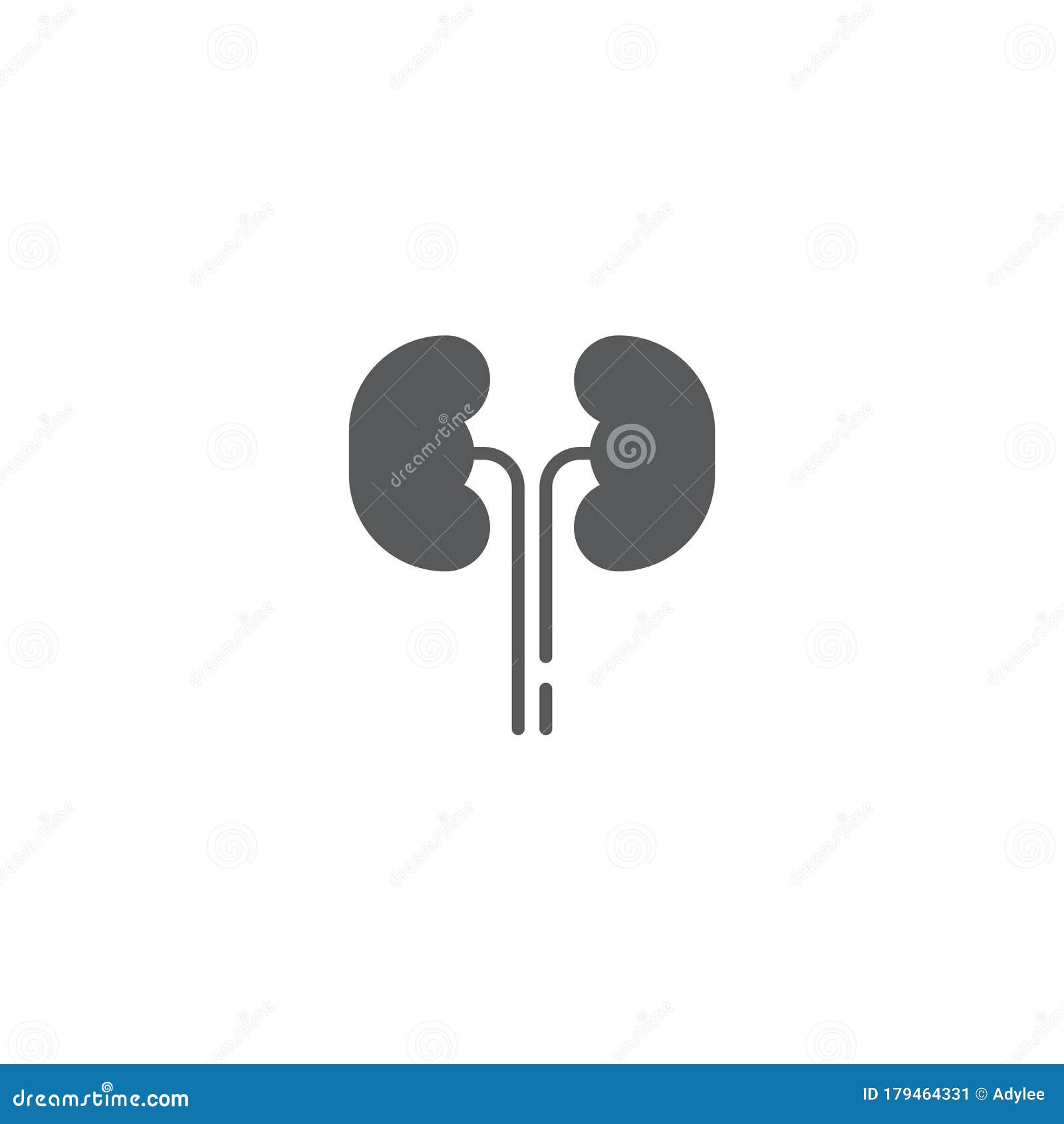 Human Kidney Vector Icon Symbol Isolated on White Background Stock ...