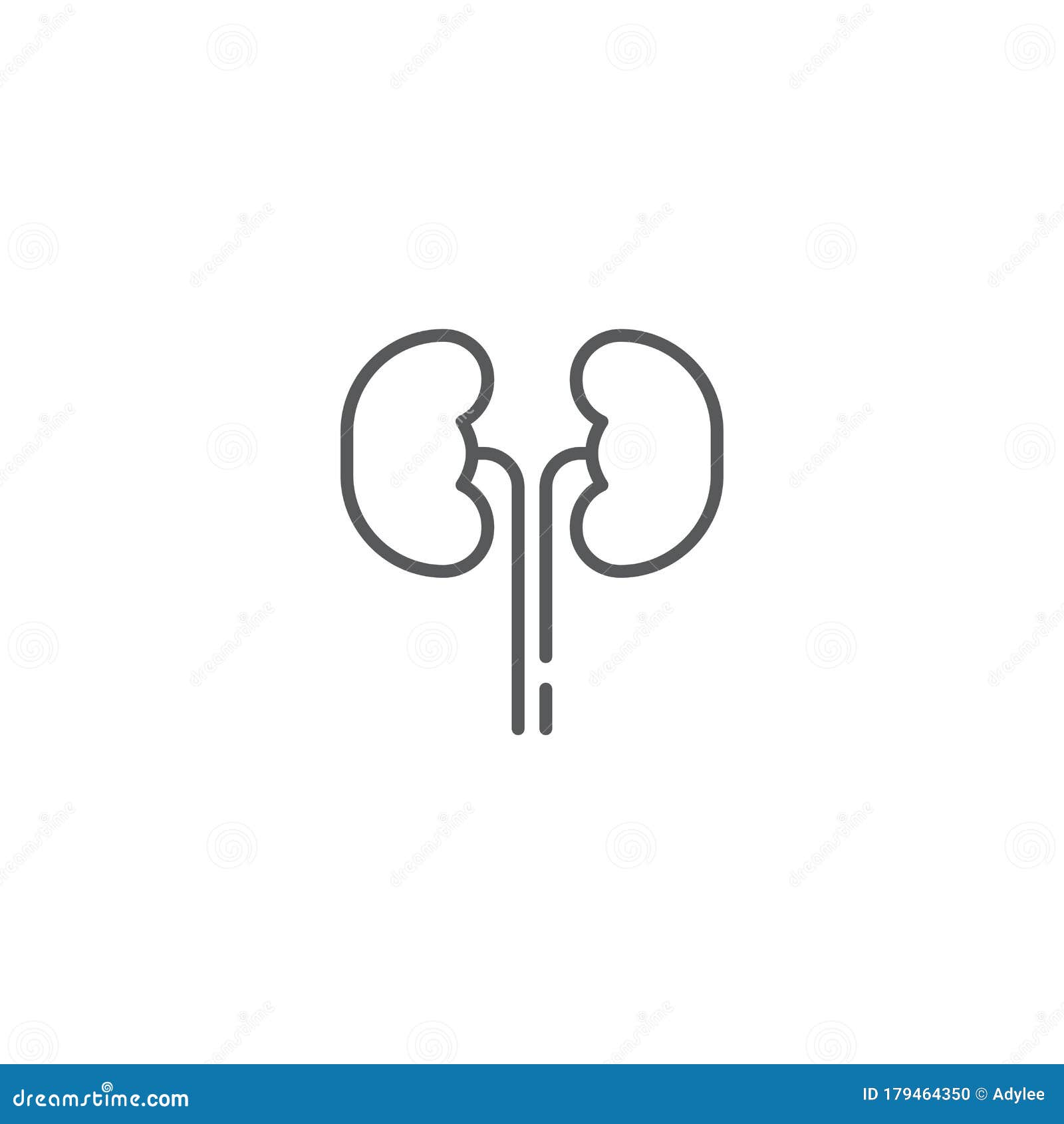 Human Kidney Vector Icon Symbol Isolated on White Background Stock ...
