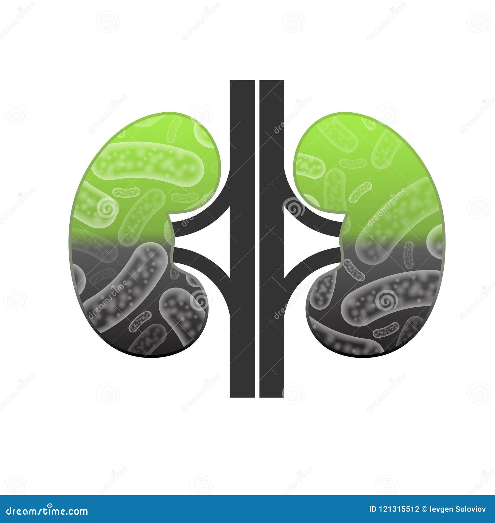Kidneys With Bacteria Line Icon. Diseased Internal Organ ...