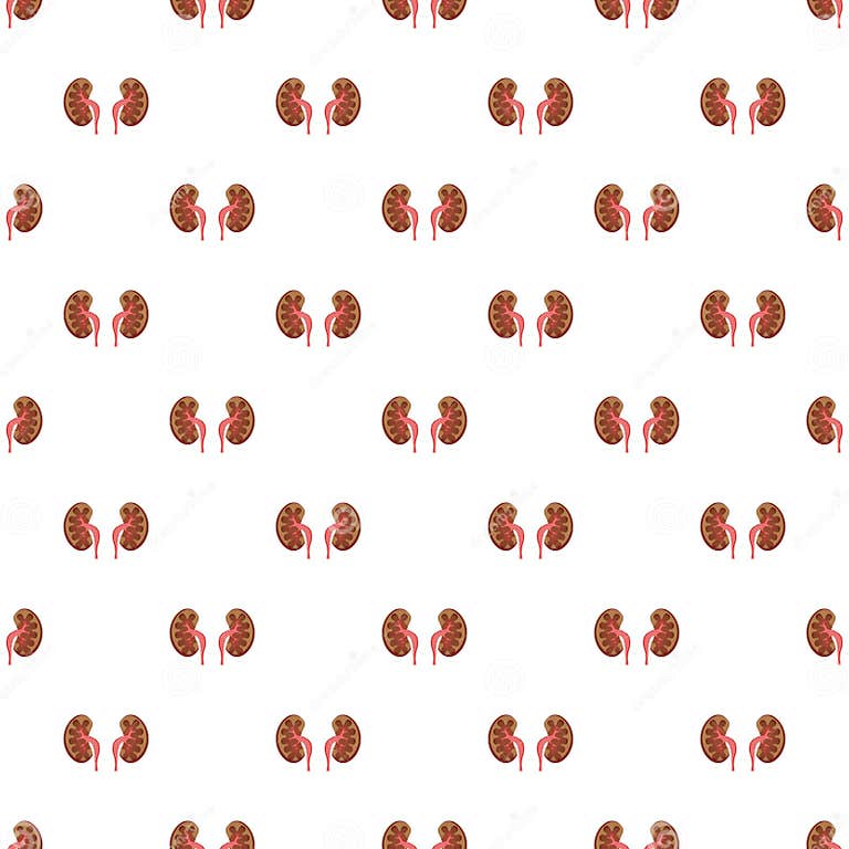 Human kidneys pattern stock vector. Illustration of anatomy - 120190531